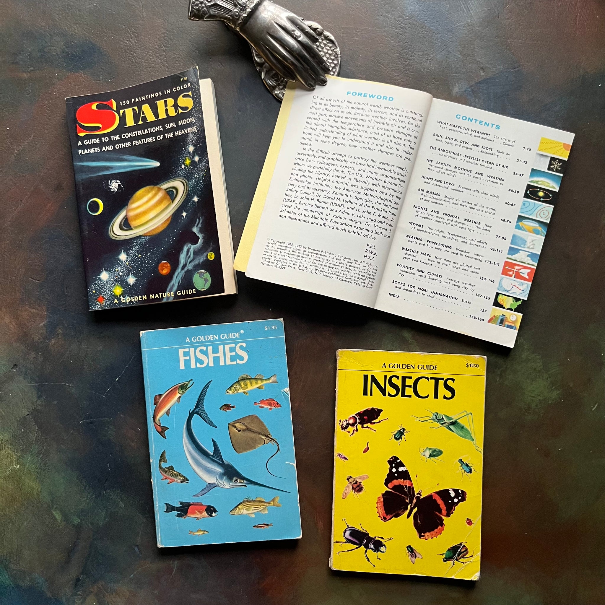Set of 4 Golden Guide Nature Pocket Guides: Insects, Fishes, Weather ...