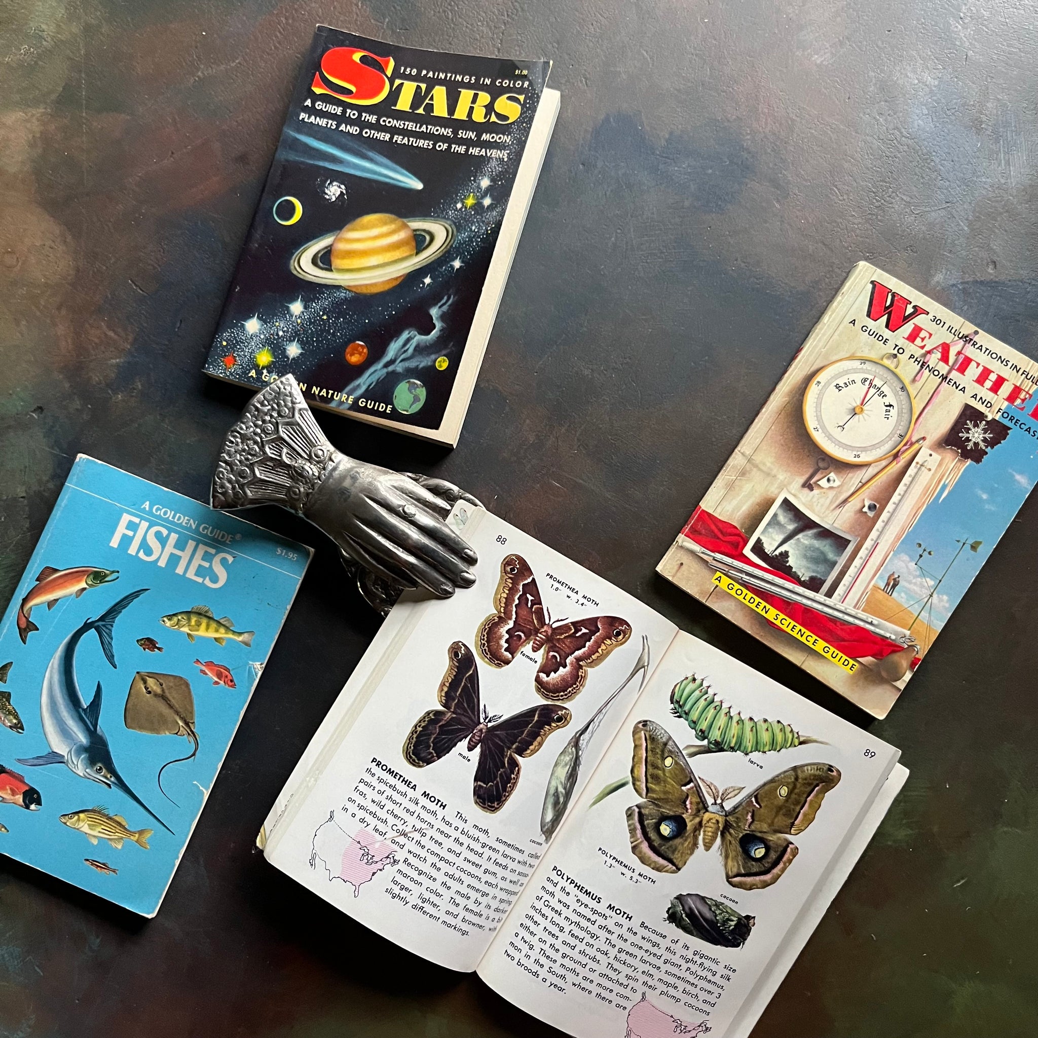 Set of 4 Golden Guide Nature Pocket Guides: Insects, Fishes, Weather ...