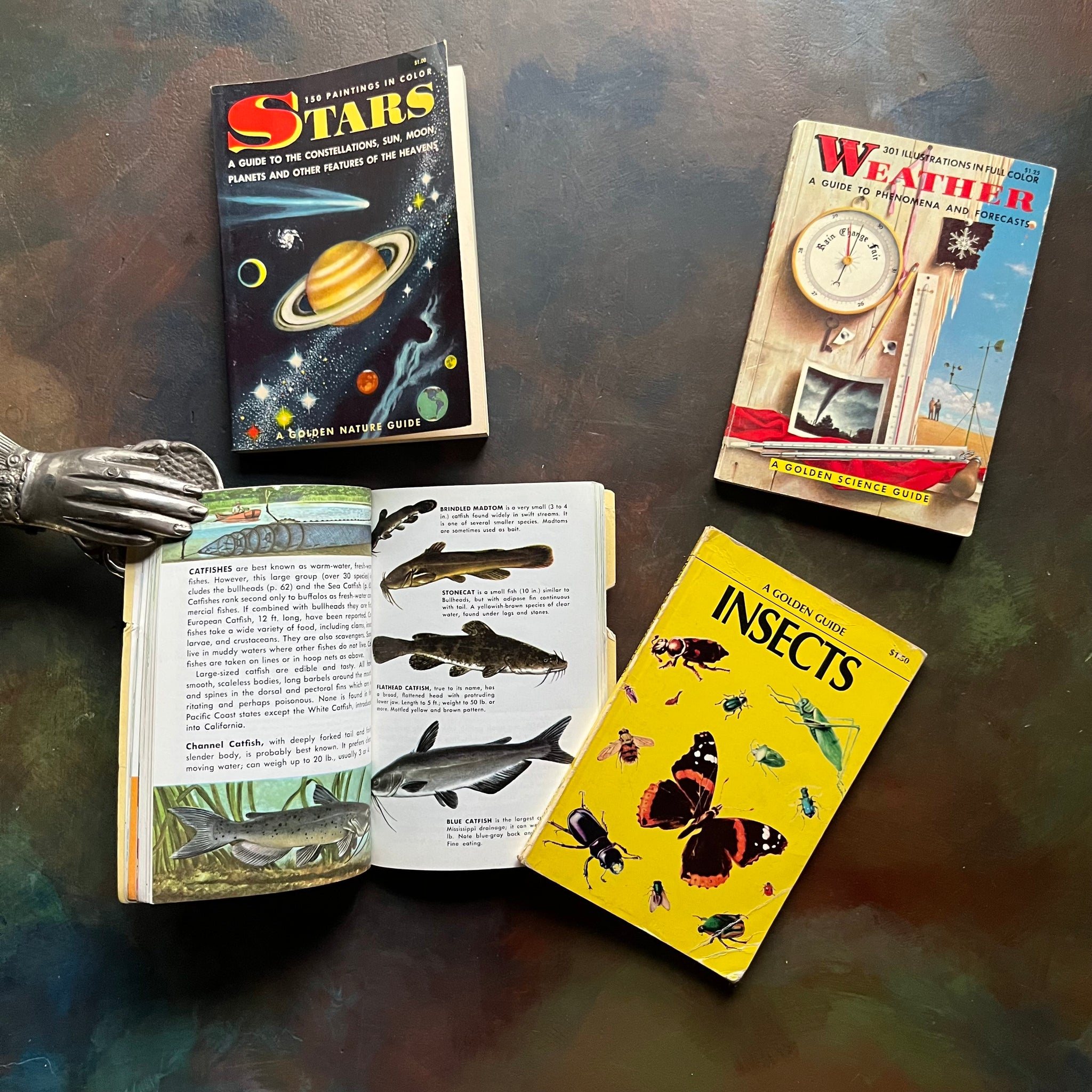 Set of 4 Golden Guide Nature Pocket Guides: Insects, Fishes, Weather ...
