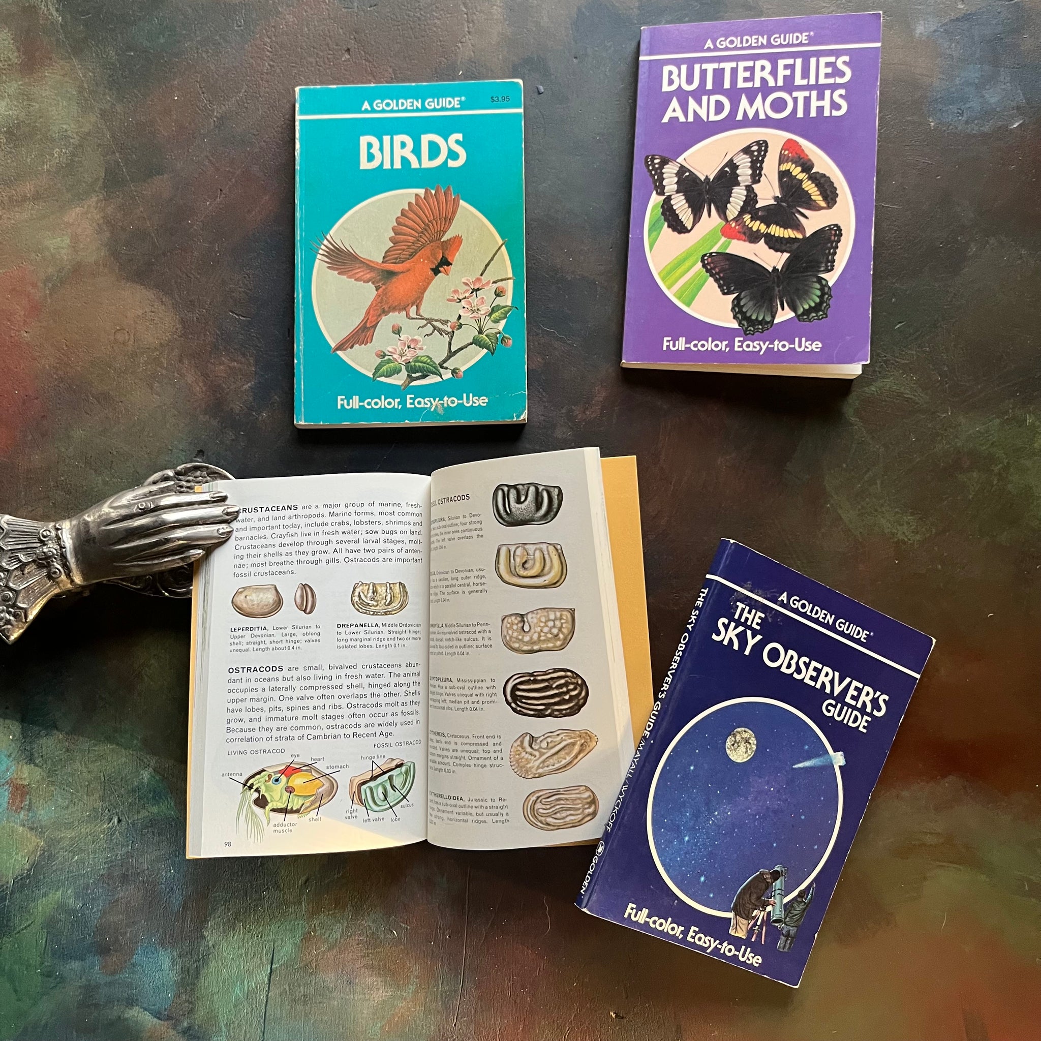 Set of 4 Golden Guide Nature Pocket Guides: The Sky Observer's Guide ...