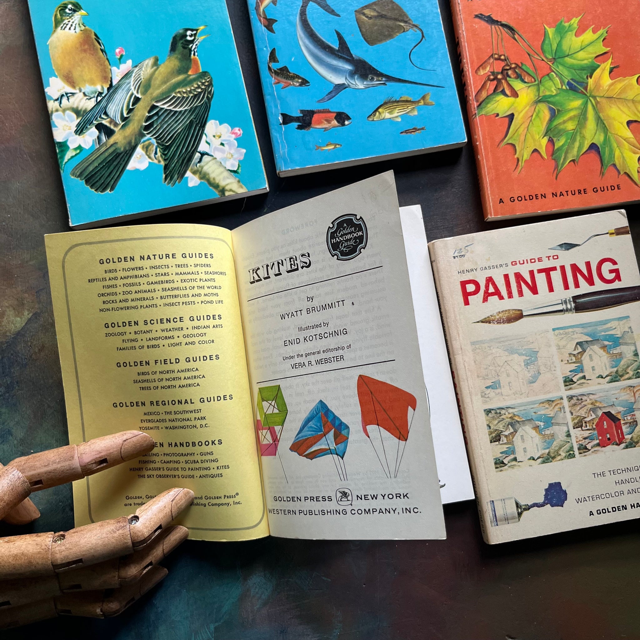 Set of 5 Golden Guide Nature Pocket Guides: Fishes, Kites, Guide to Pa ...