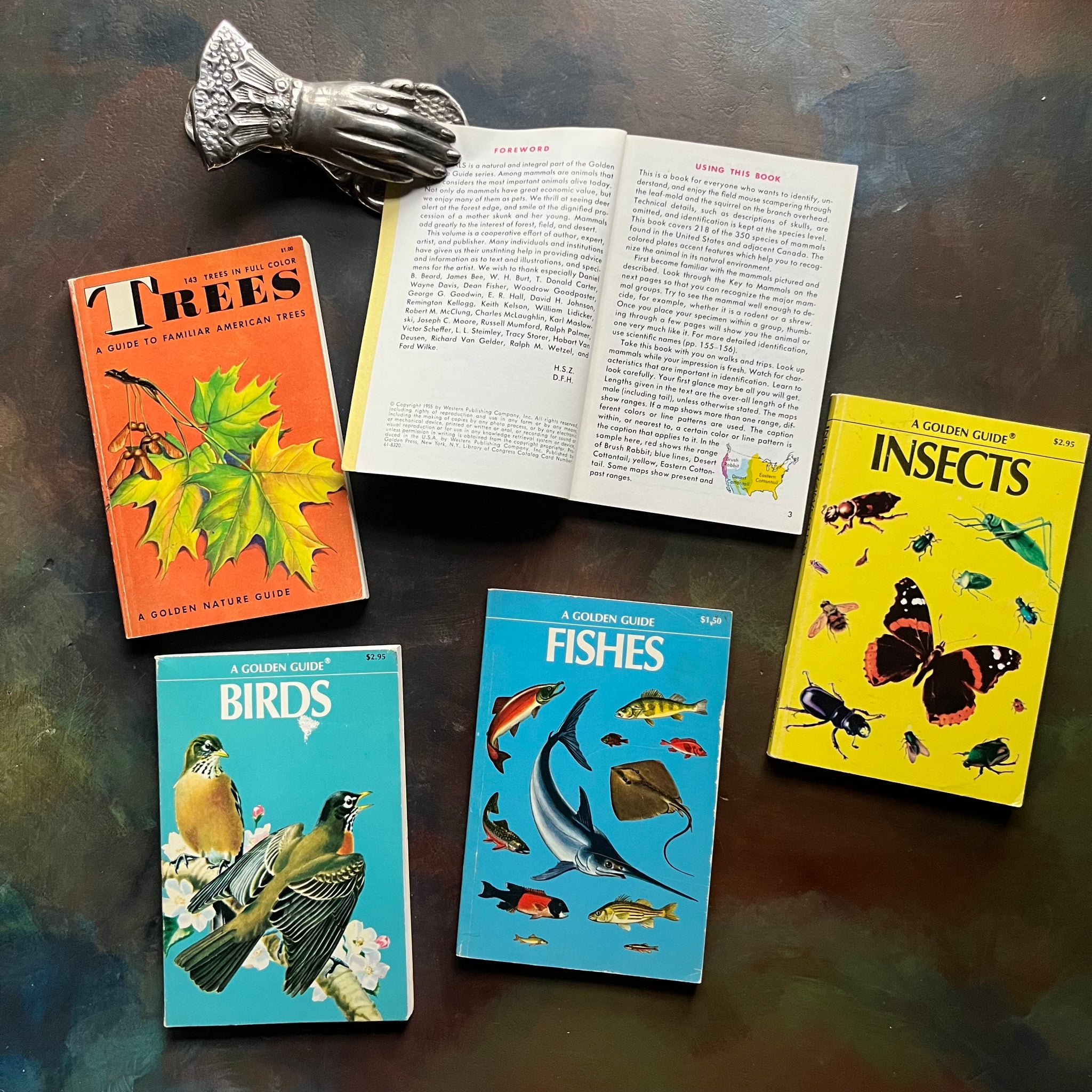 Set of 5 Golden Guide Nature Pocket Guides: Insects, Birds, Mammals, T ...