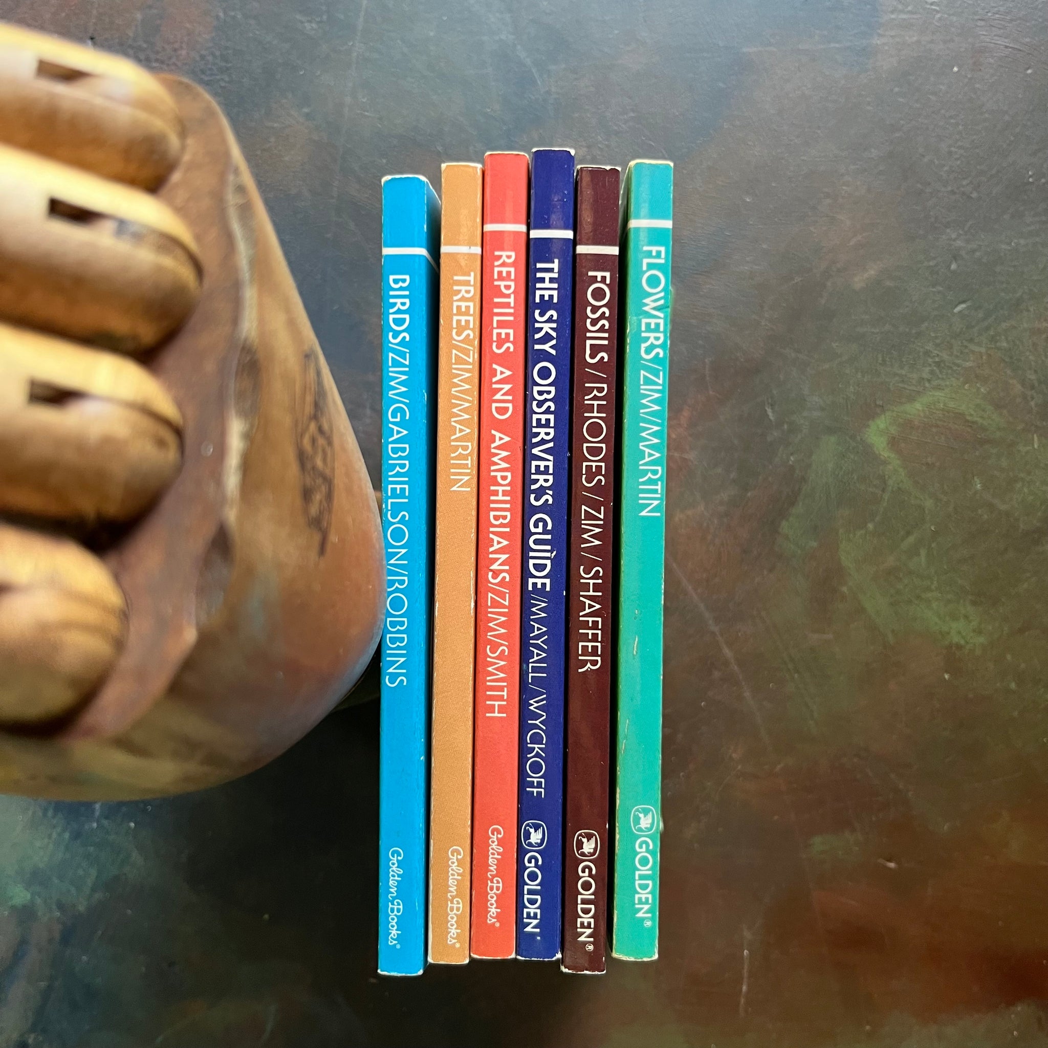 Set of 6 Golden Guide Nature Pocket Guides: Flowers, Fossils, The Sky ...