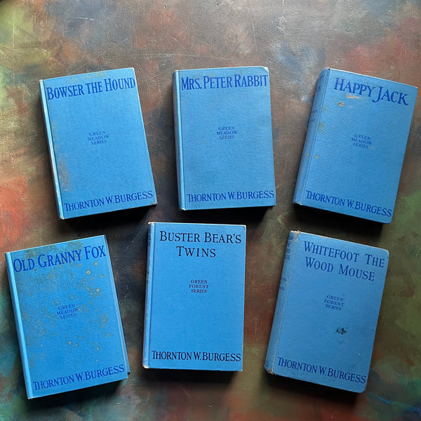 Thornton Burgess Green Forest and Green Meadows Series Story-Books Set ...
