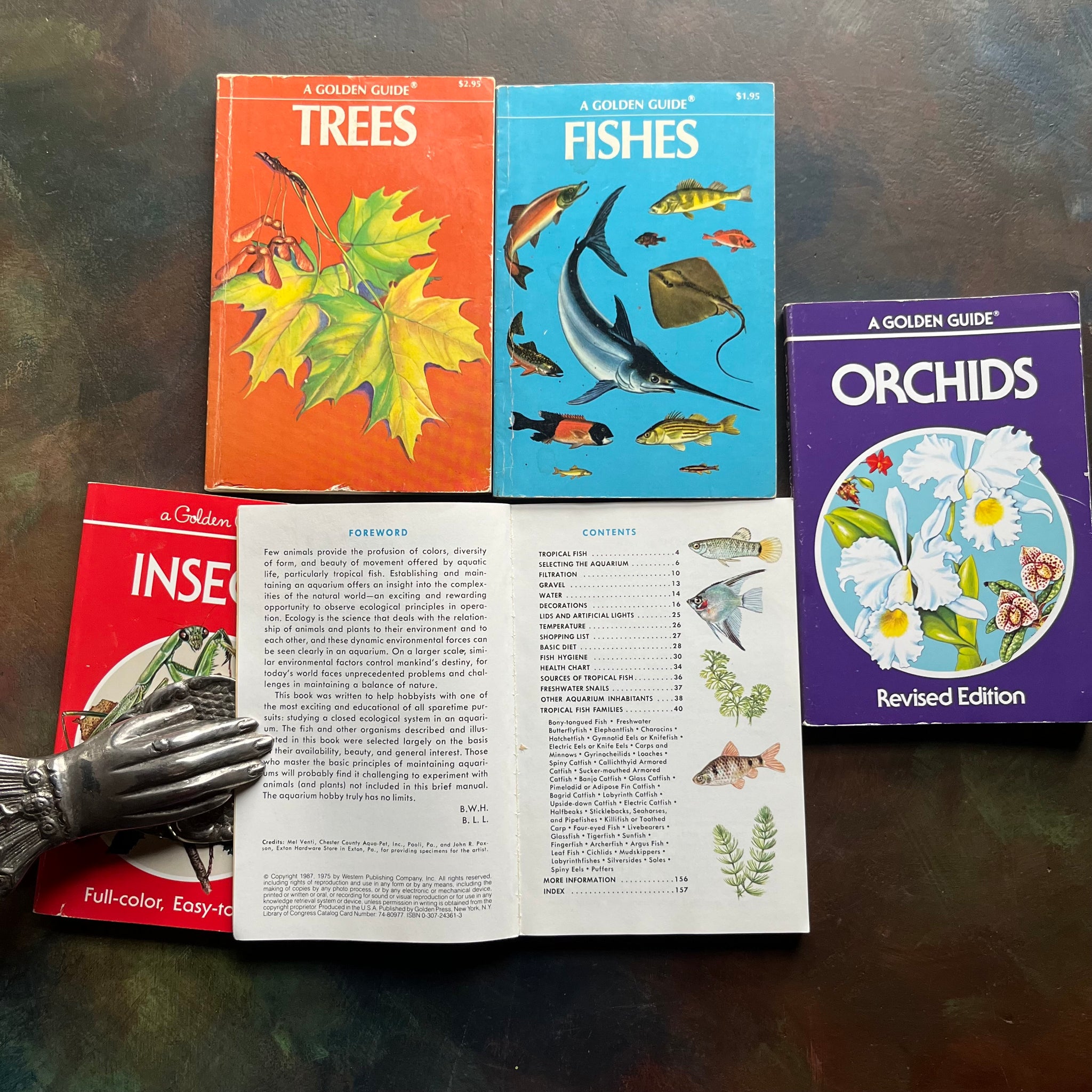 Set of Golden Guide Nature Pocket Guides: Insects, Tropical Fish, Orch ...