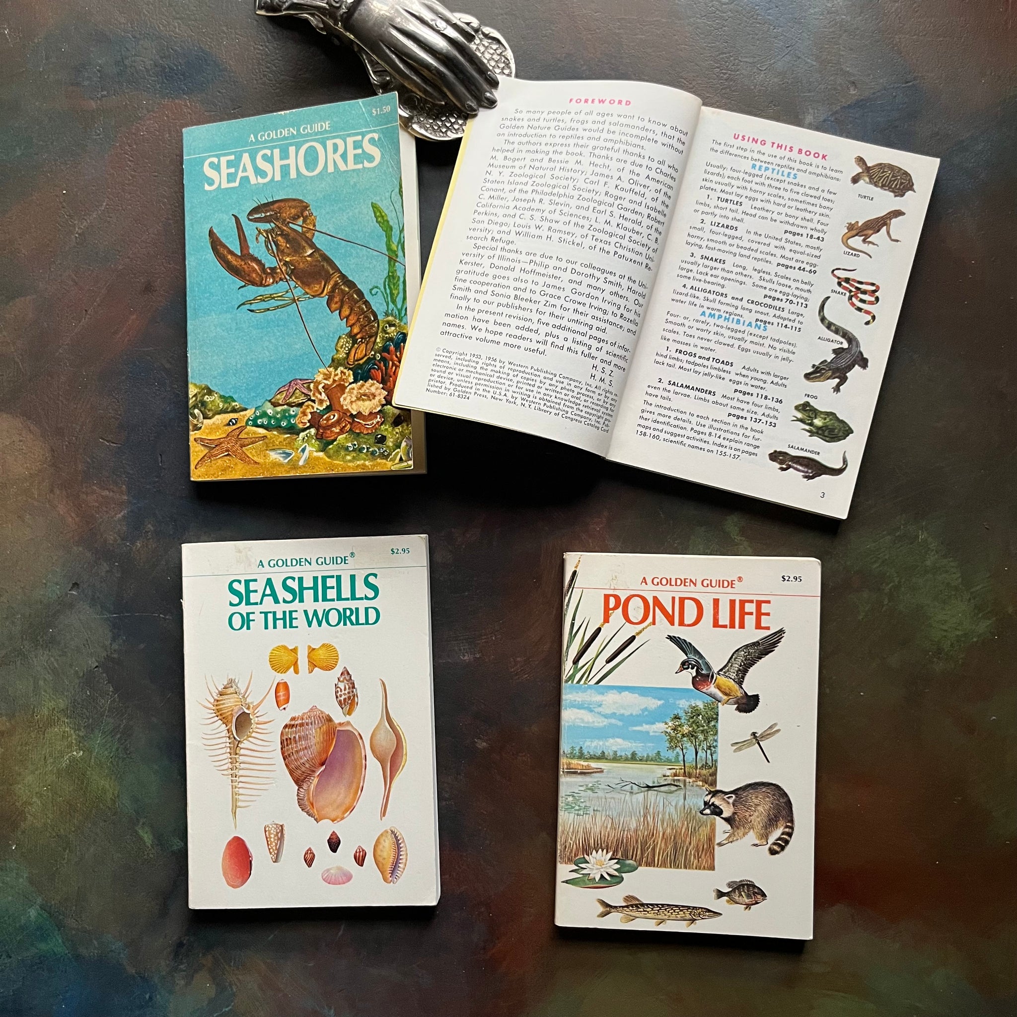 Set of 4 Golden Guide Nature Pocket Guides: Pond Life, Seashells of th ...