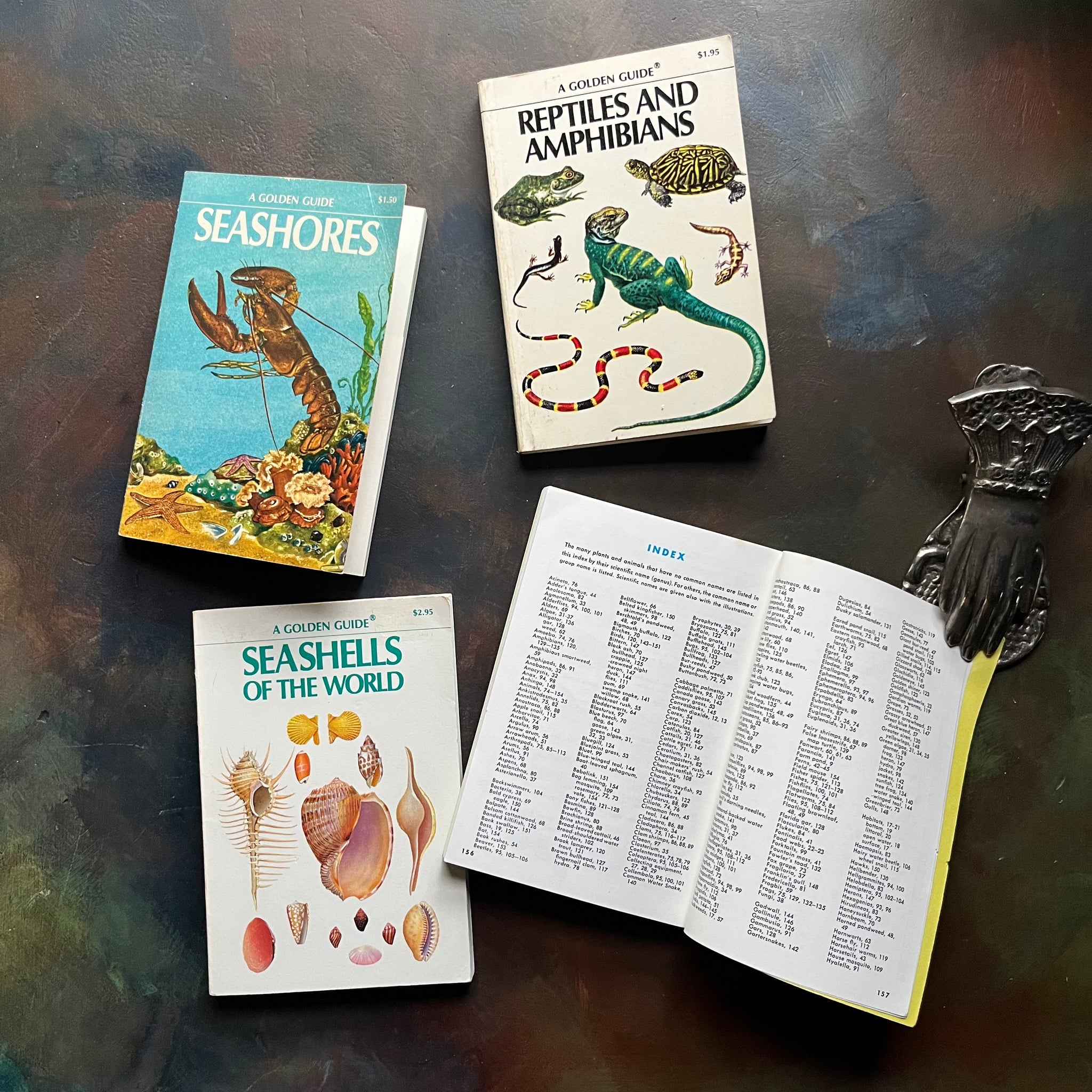 Set of 4 Golden Guide Nature Pocket Guides: Pond Life, Seashells of th ...