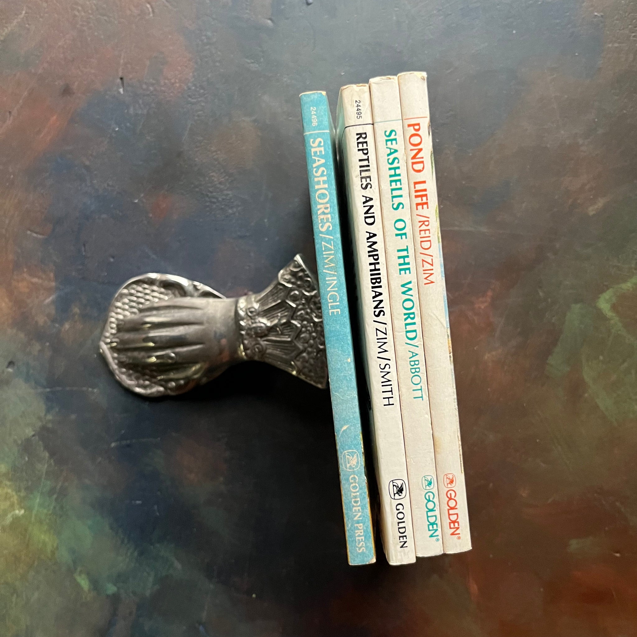 Set of 4 Golden Guide Nature Pocket Guides: Pond Life, Seashells of th ...