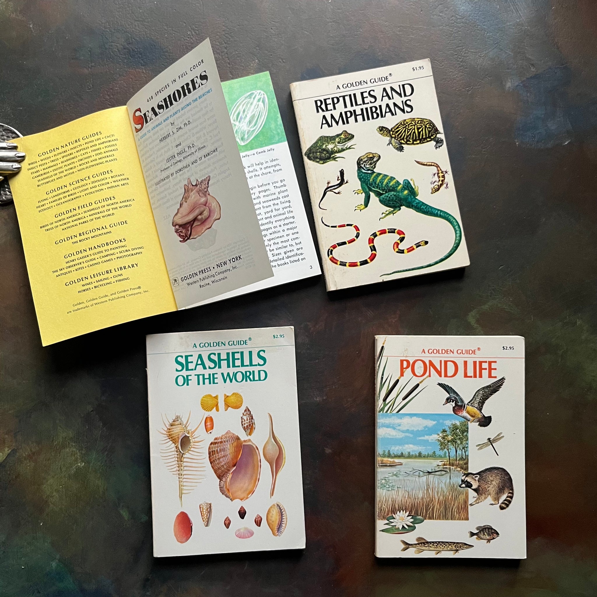 Set of 4 Golden Guide Nature Pocket Guides: Pond Life, Seashells of th ...