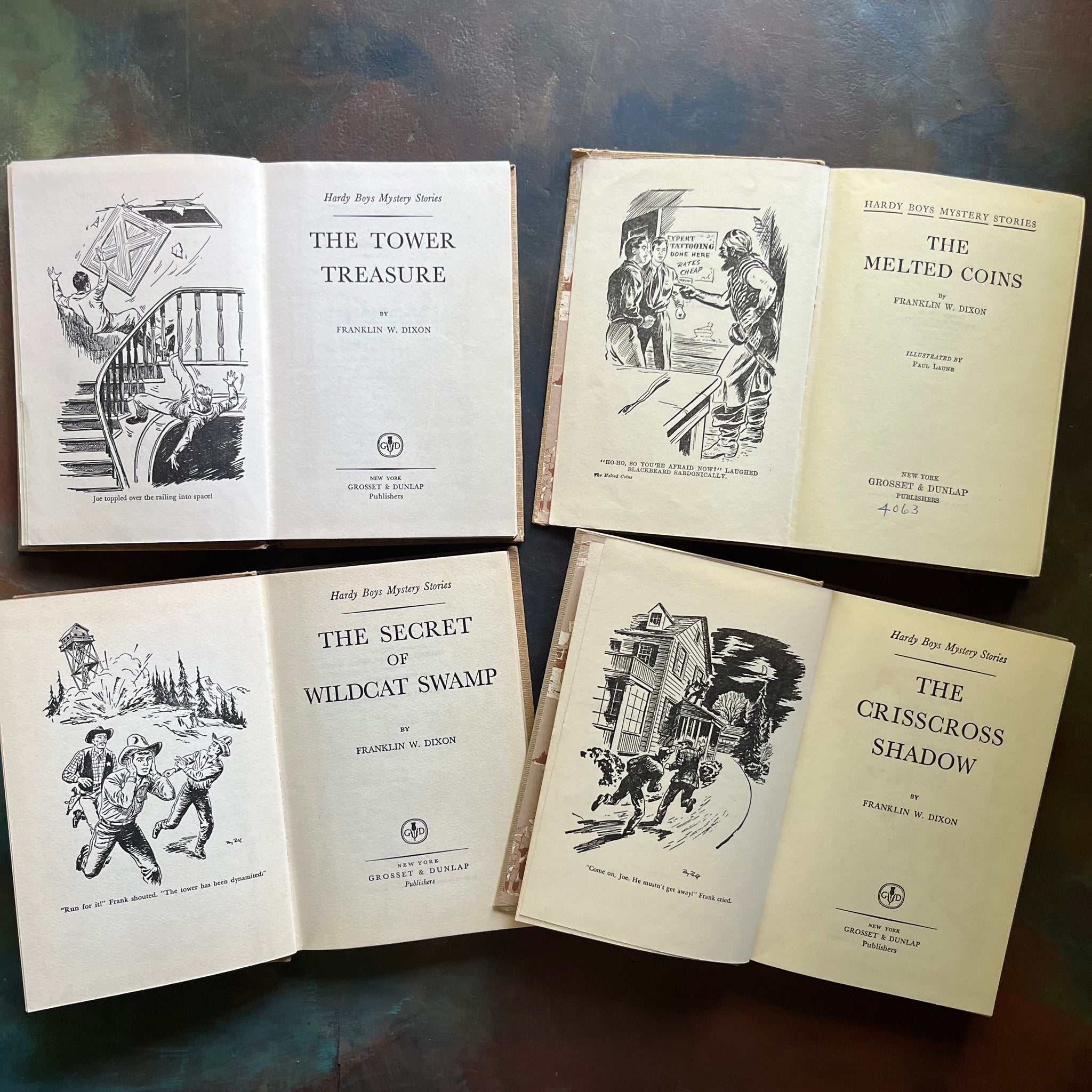 The Hardy Boys Mysteries: The Crisscross Shadow, The Secret of the Wil ...