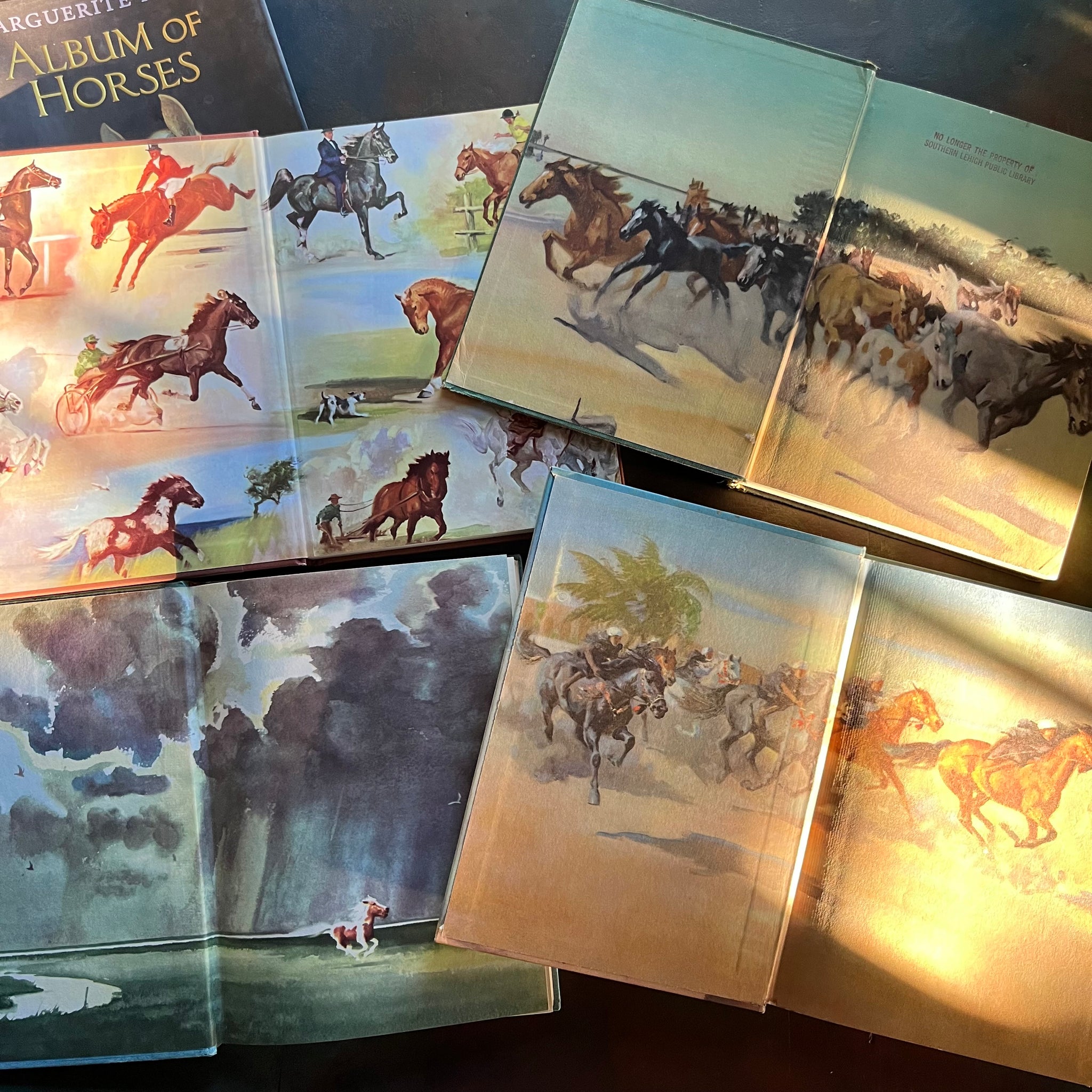 Set of Four Marguerite Henry Horse Books: Album of Horses, Sea Star, K ...