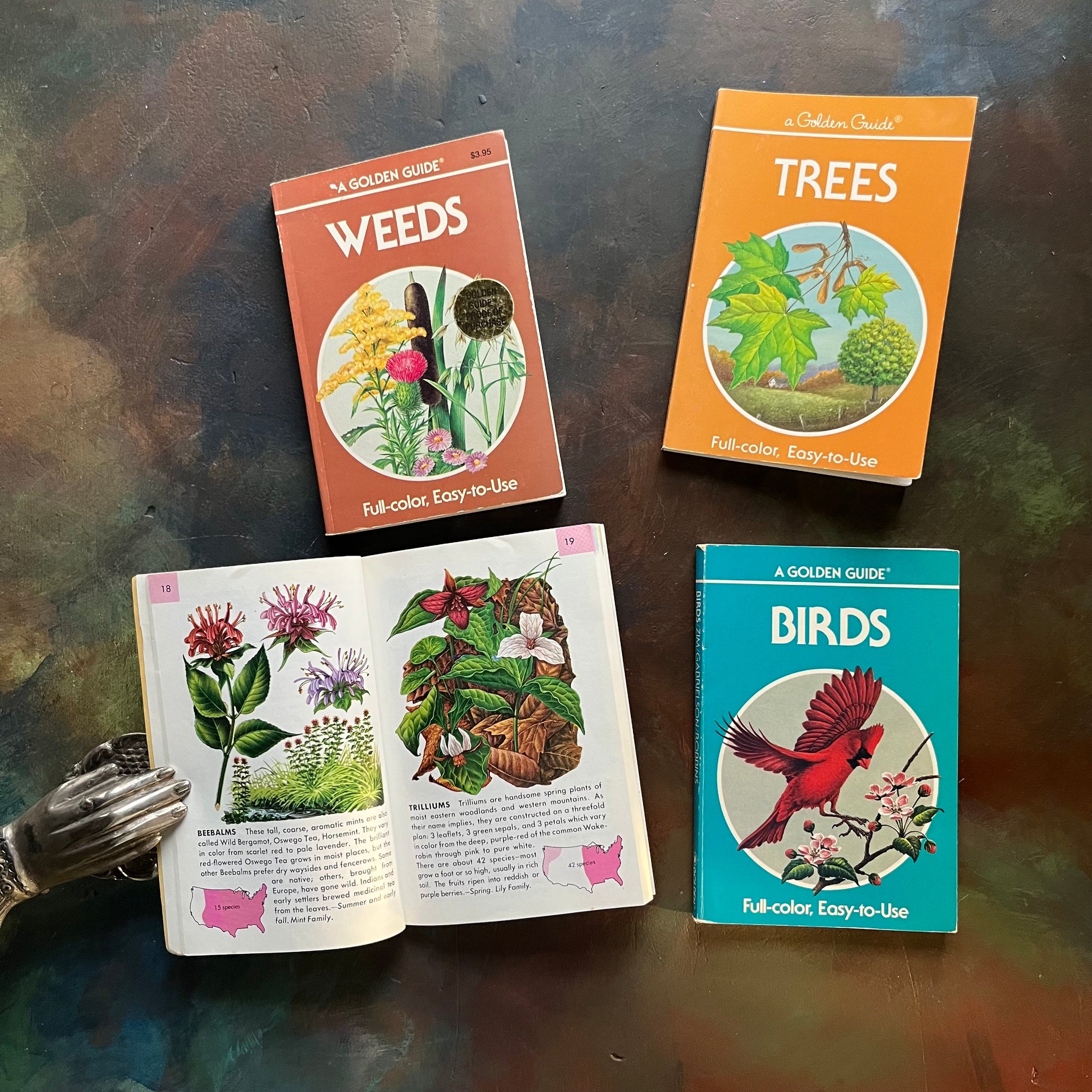 Set of 4 Golden Guide Nature Pocket Guides: Birds, Flowers, Trees, and ...