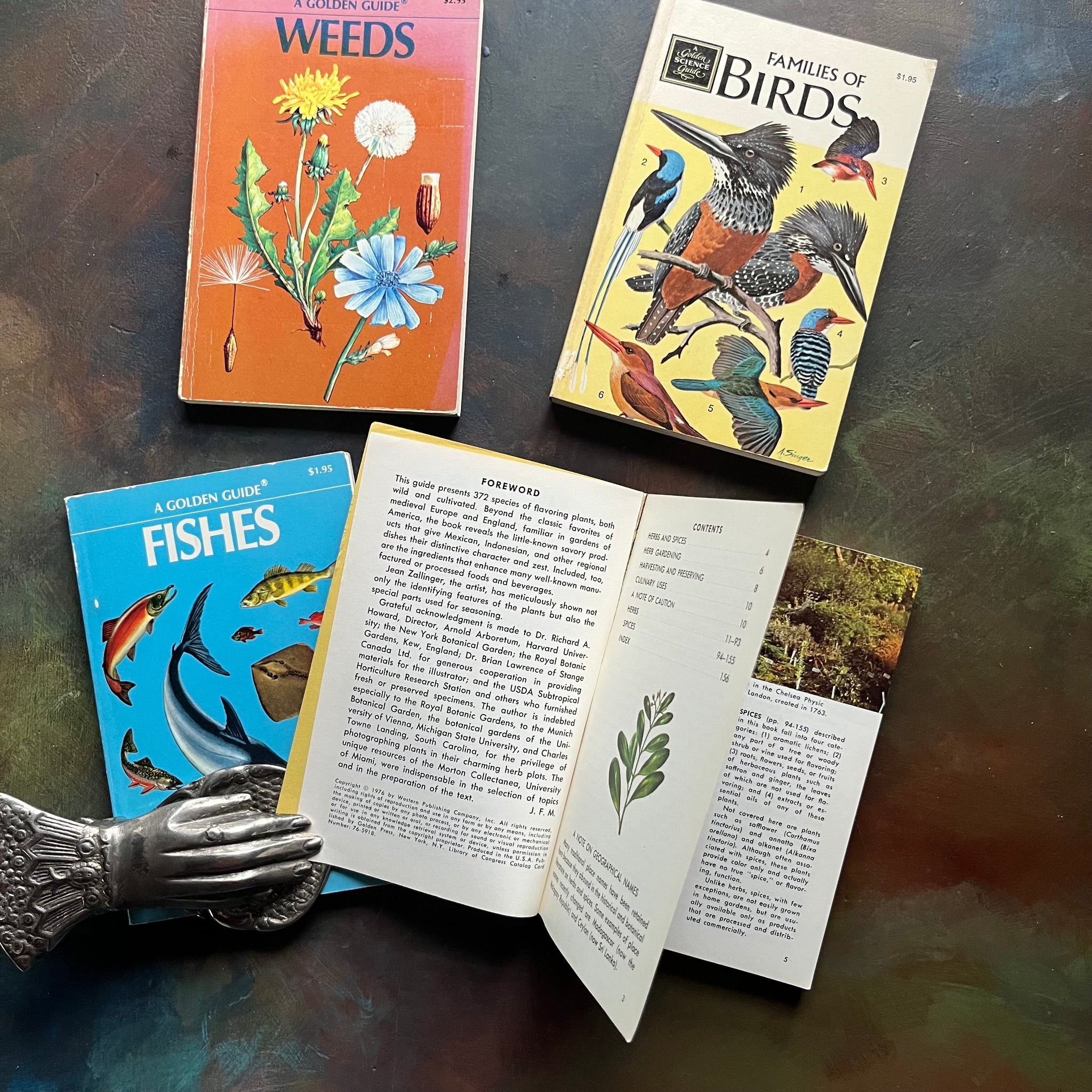 Set of Golden Guide Nature Pocket Guides: Weeds, Families of Birds, Fi ...