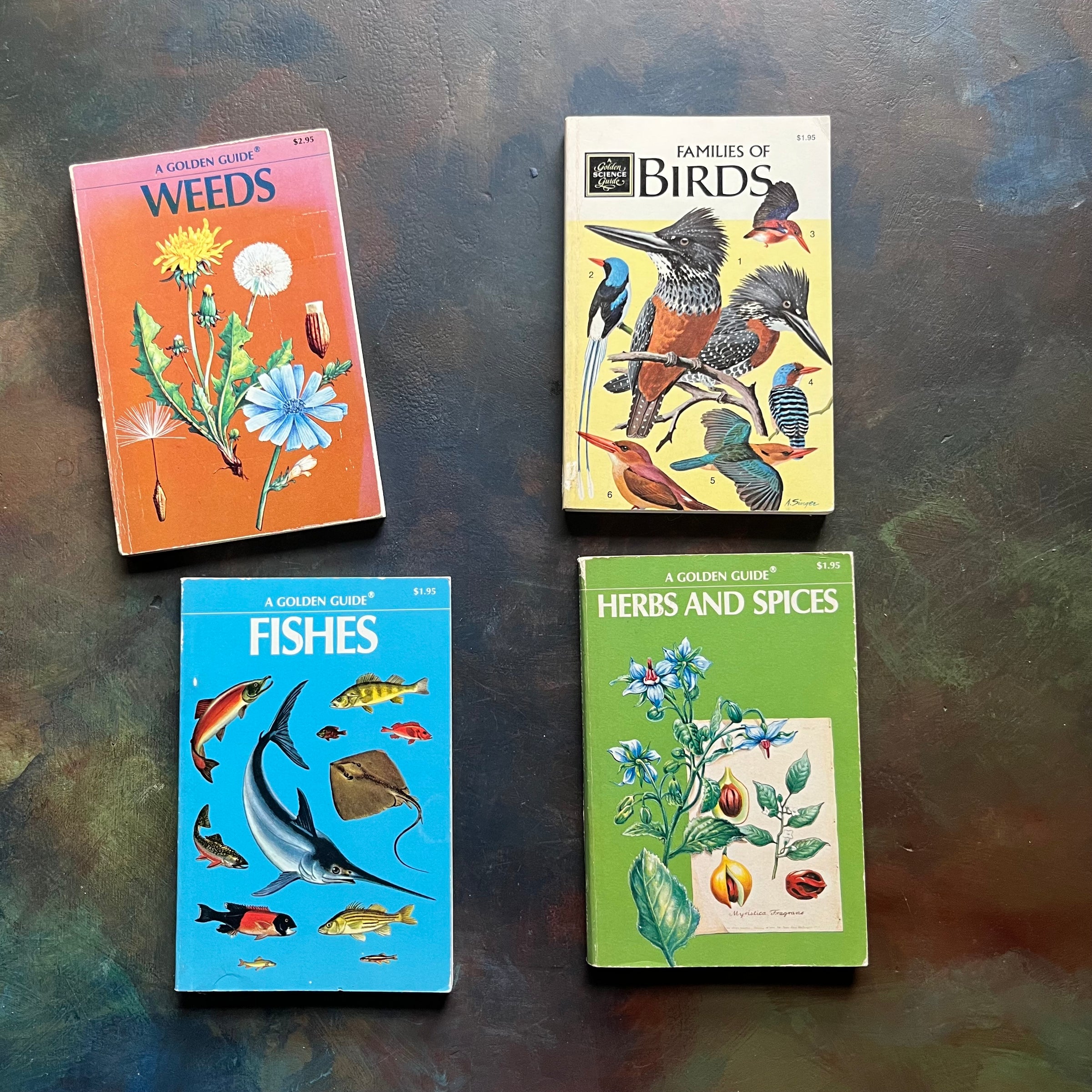 Vintage Nature Guides for Sale - Log Cabin Vintage