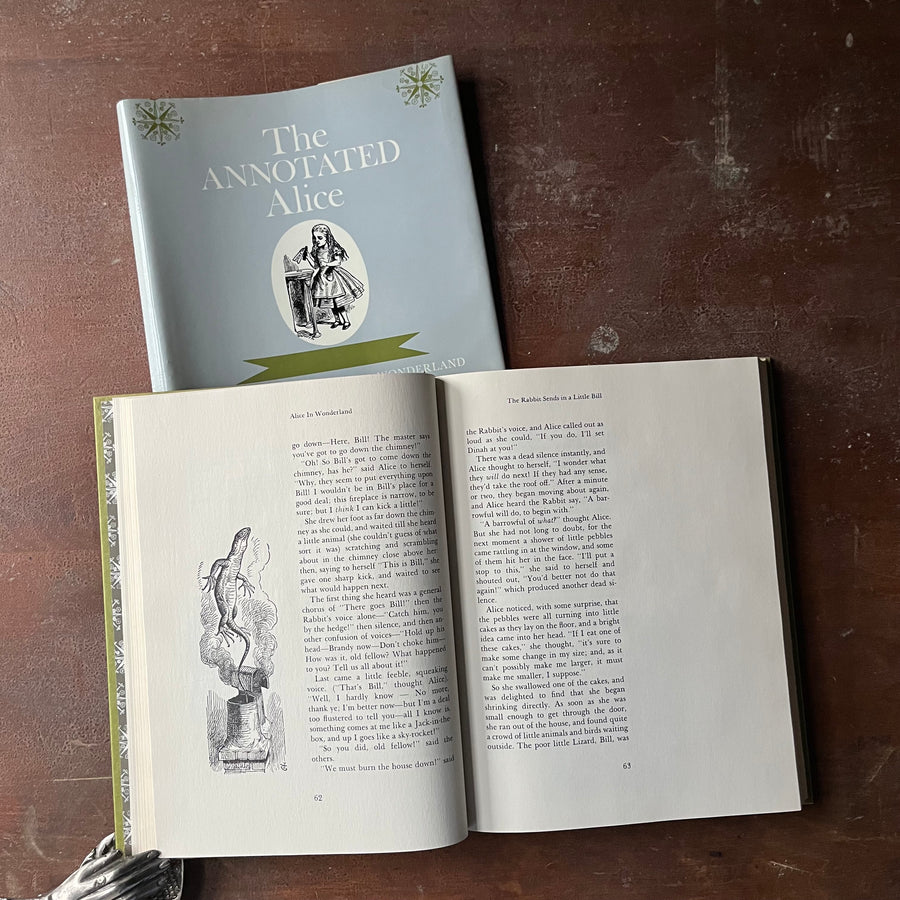 The Annotated Alice by Lewis Carroll Illustrated by John Tenniel - Not - Log Cabin Vintage
