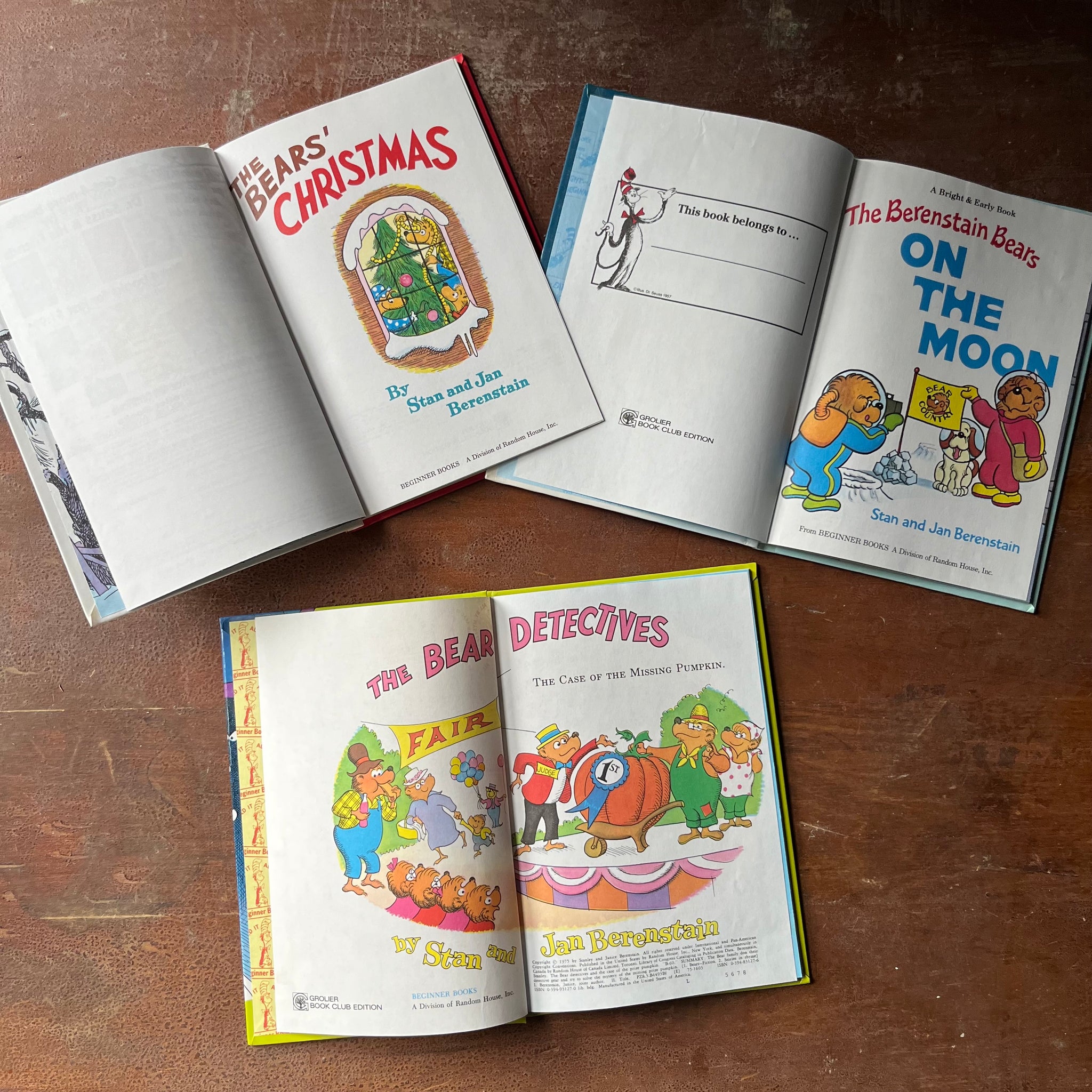 Berenstain Bears Book Set - The Bear Detectives, The Berenstain Bears ...