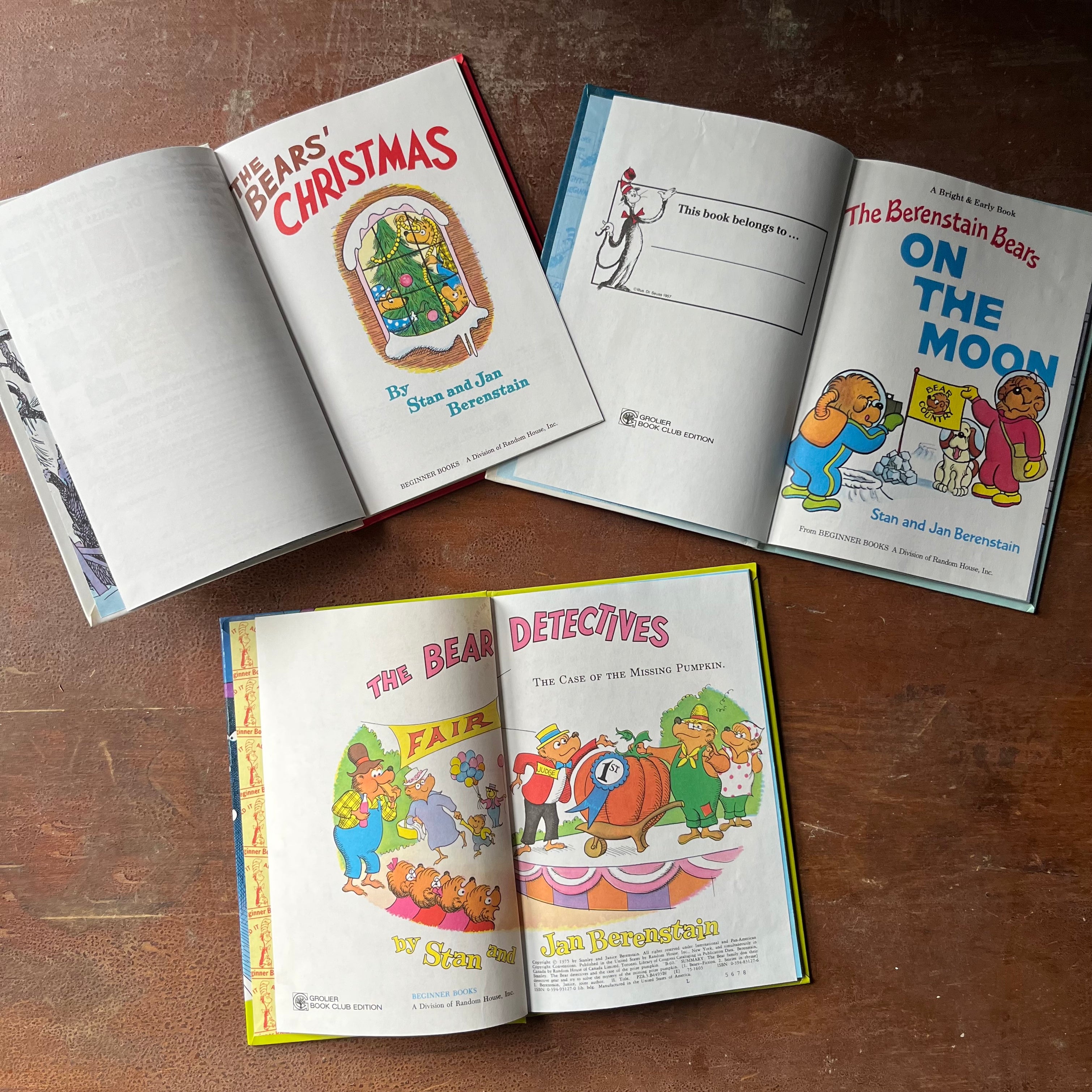 Berenstain Bears Book Set - The Bear Detectives, The Berenstain Bears ...