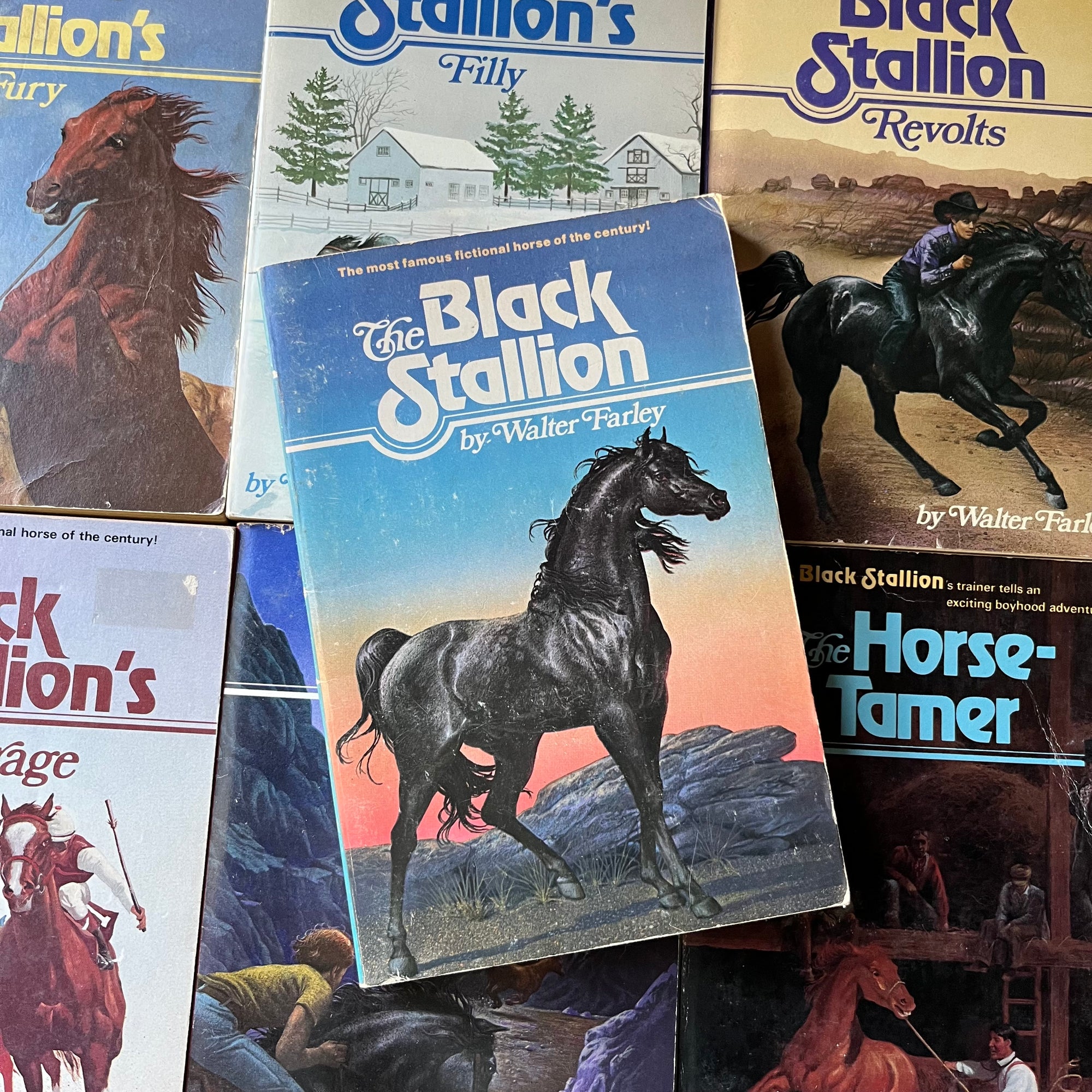 The Black Stallion Series - 20 Book Set by Walter Farley - Log Cabin ...