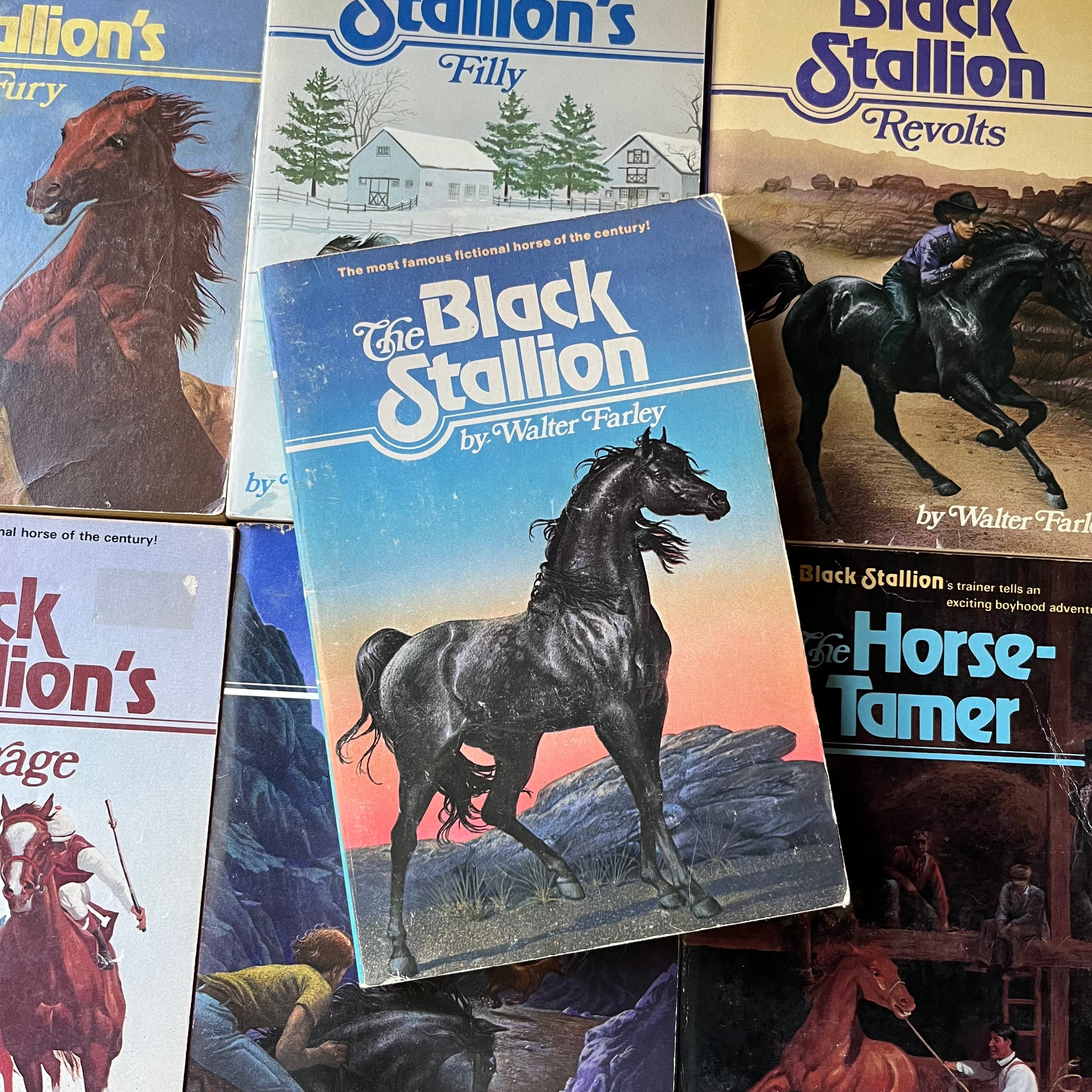 The Black Stallion Series - 20 Book Set by Walter Farley - Log Cabin ...