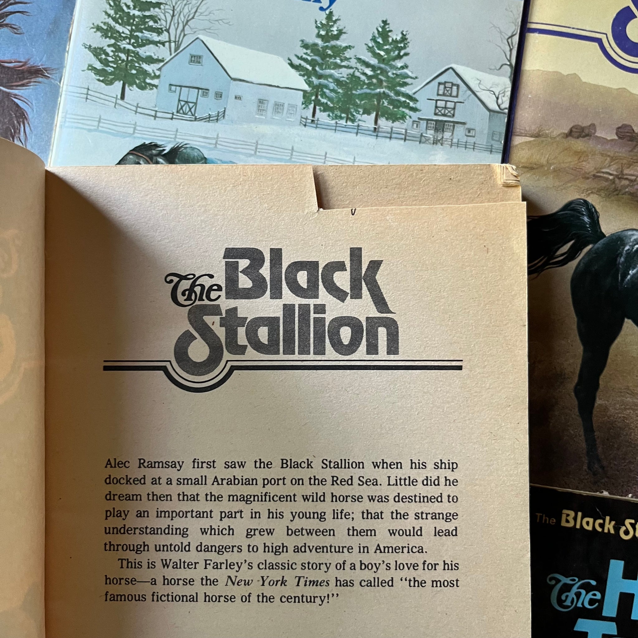 The Black Stallion Series - 20 Book Set by Walter Farley - Log Cabin ...
