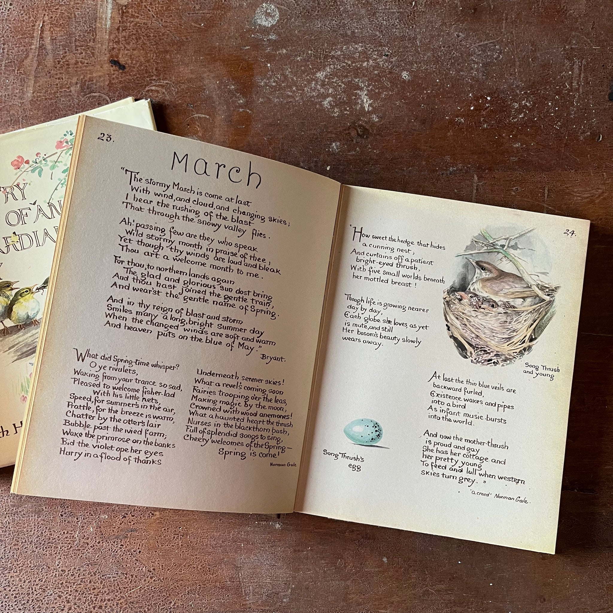 The Country Diary of An Edwardian Lady by Edith Holden - Log Cabin Vintage