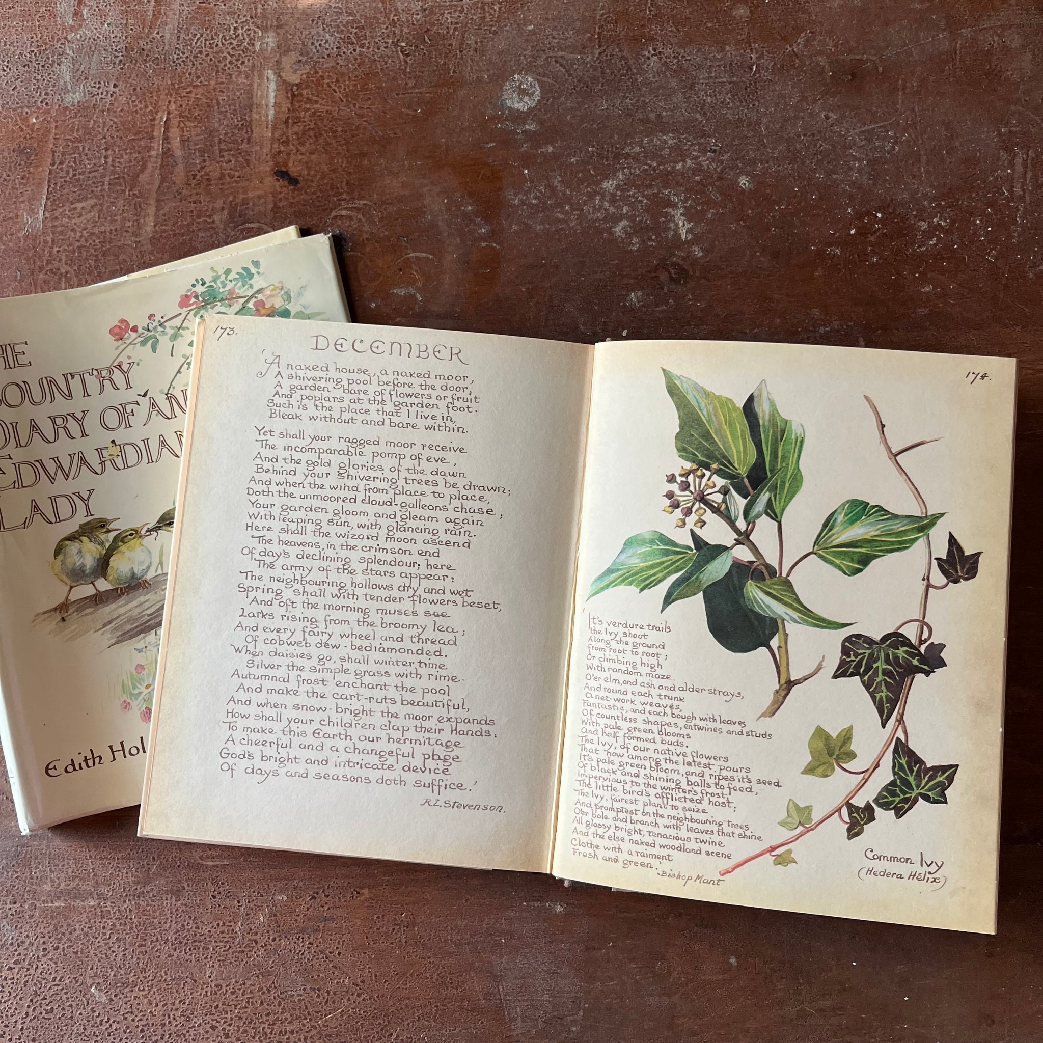 The Country Diary of An Edwardian Lady by Edith Holden - Log Cabin Vintage