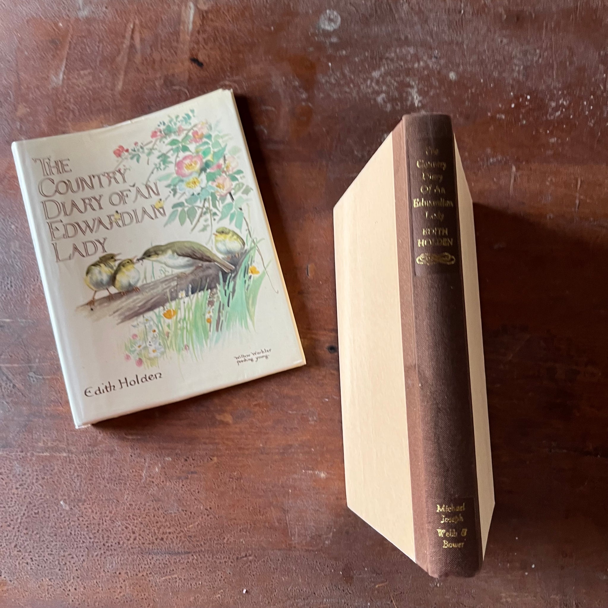 The Country Diary of An Edwardian Lady by Edith Holden - Log Cabin Vintage