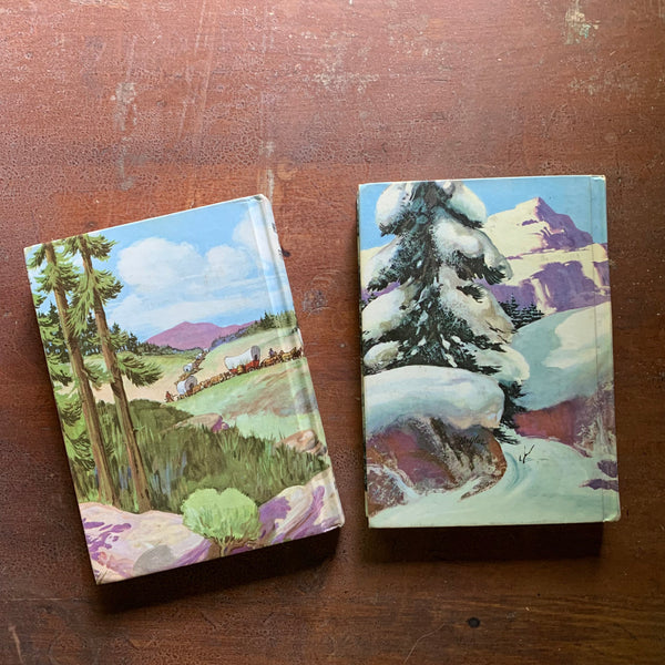 The Developmental Reading Series Book Set: Stories to Remember & Meeti ...