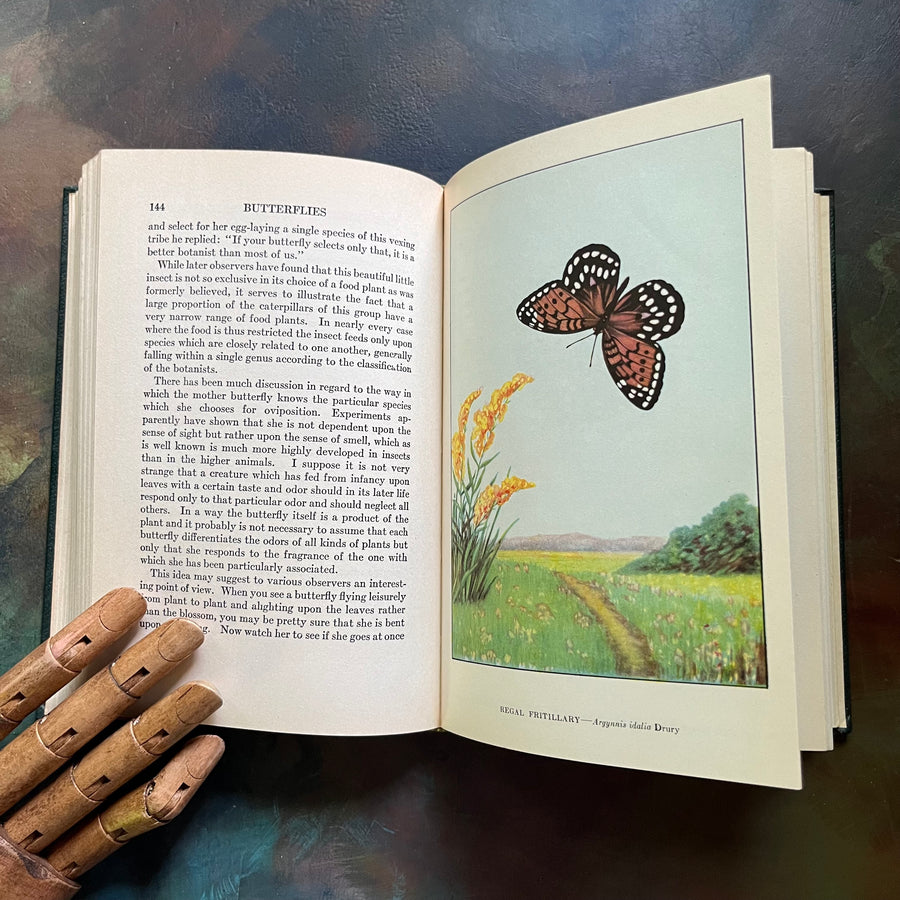 The Nature Library Books: Butterflies - 1926 Edition - Log Cabin Vintage
