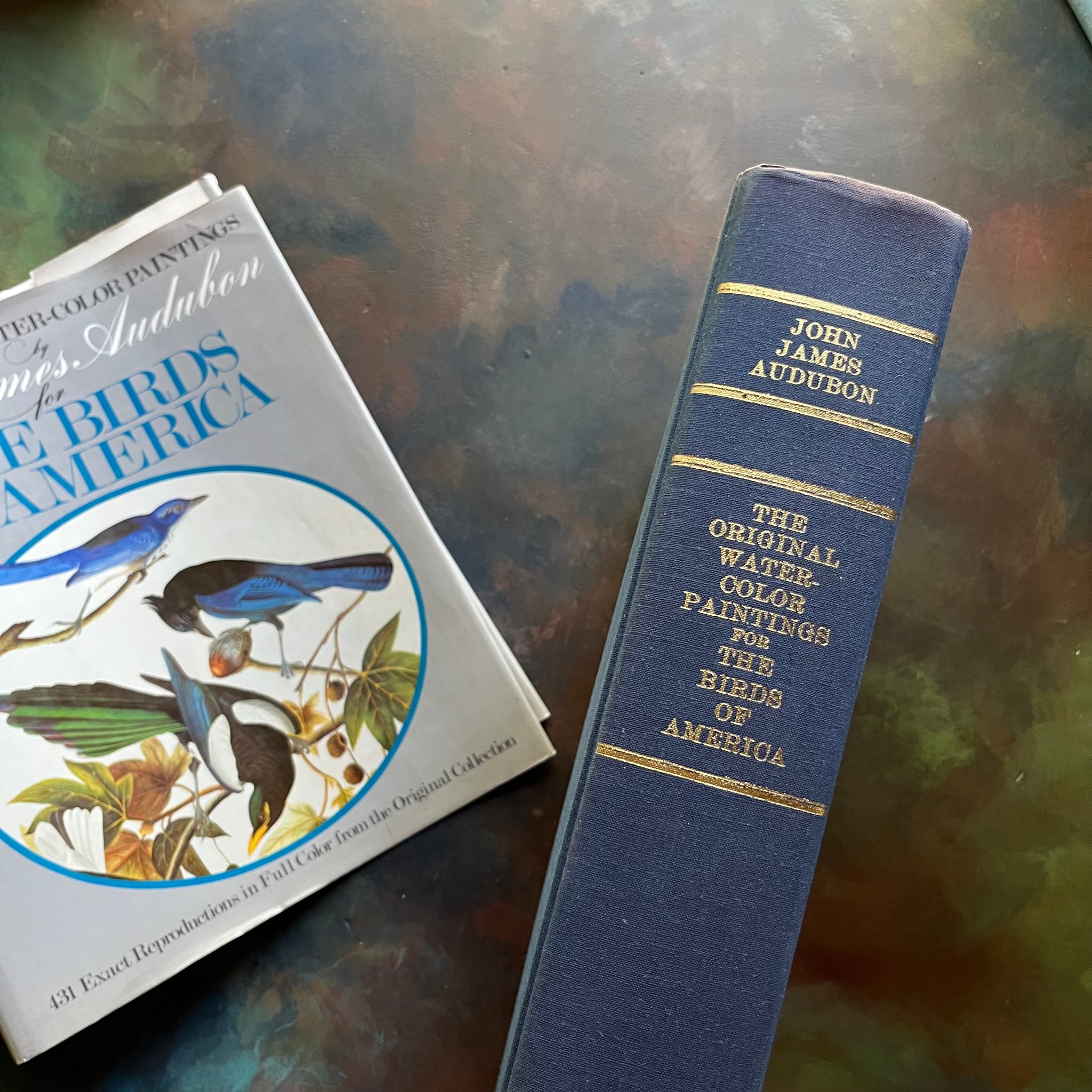 The Original Water-Color Paintings of John James Audubon for The Birds ...