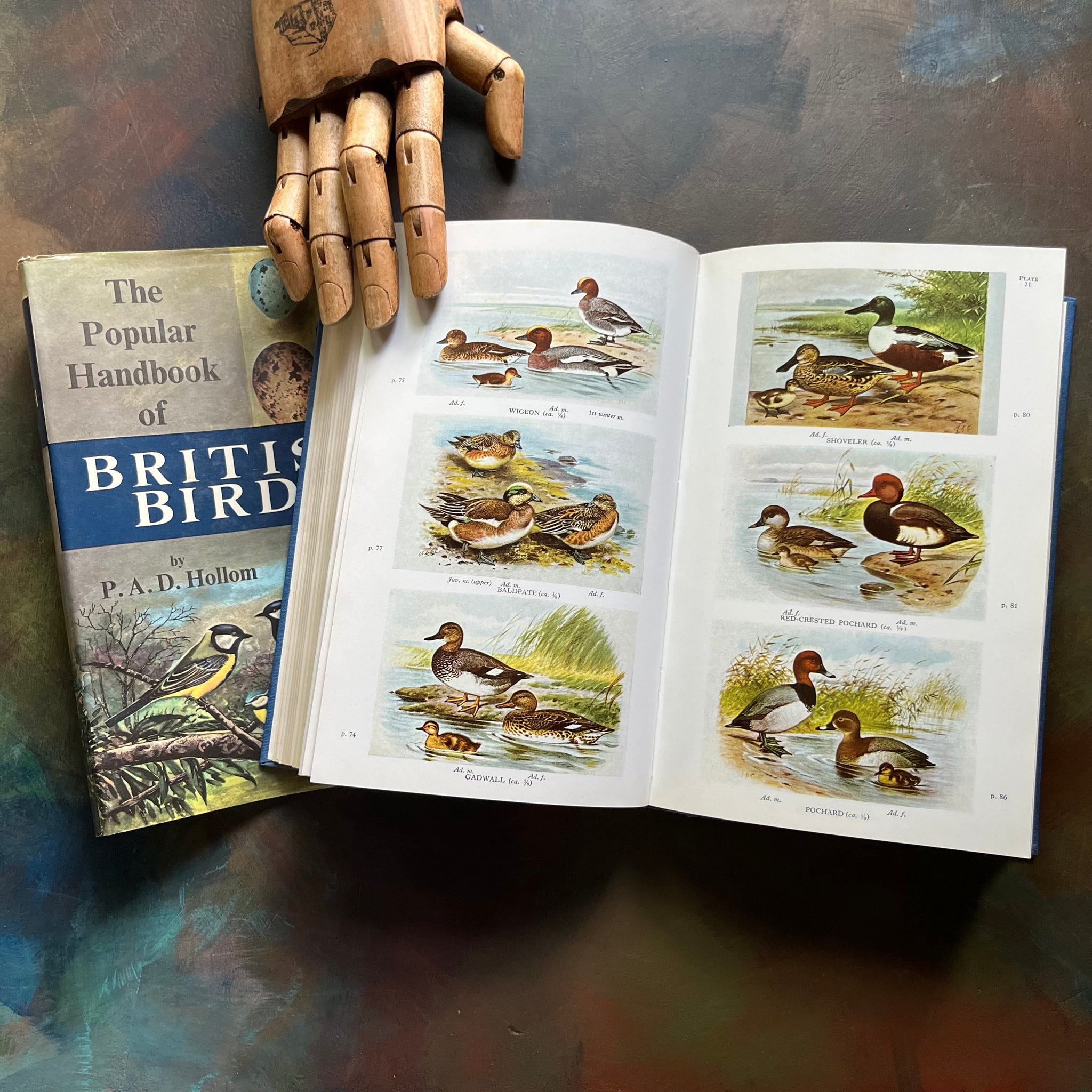 The Popular Handbook of British Birds Written by P. A. D. Hollom - Log ...