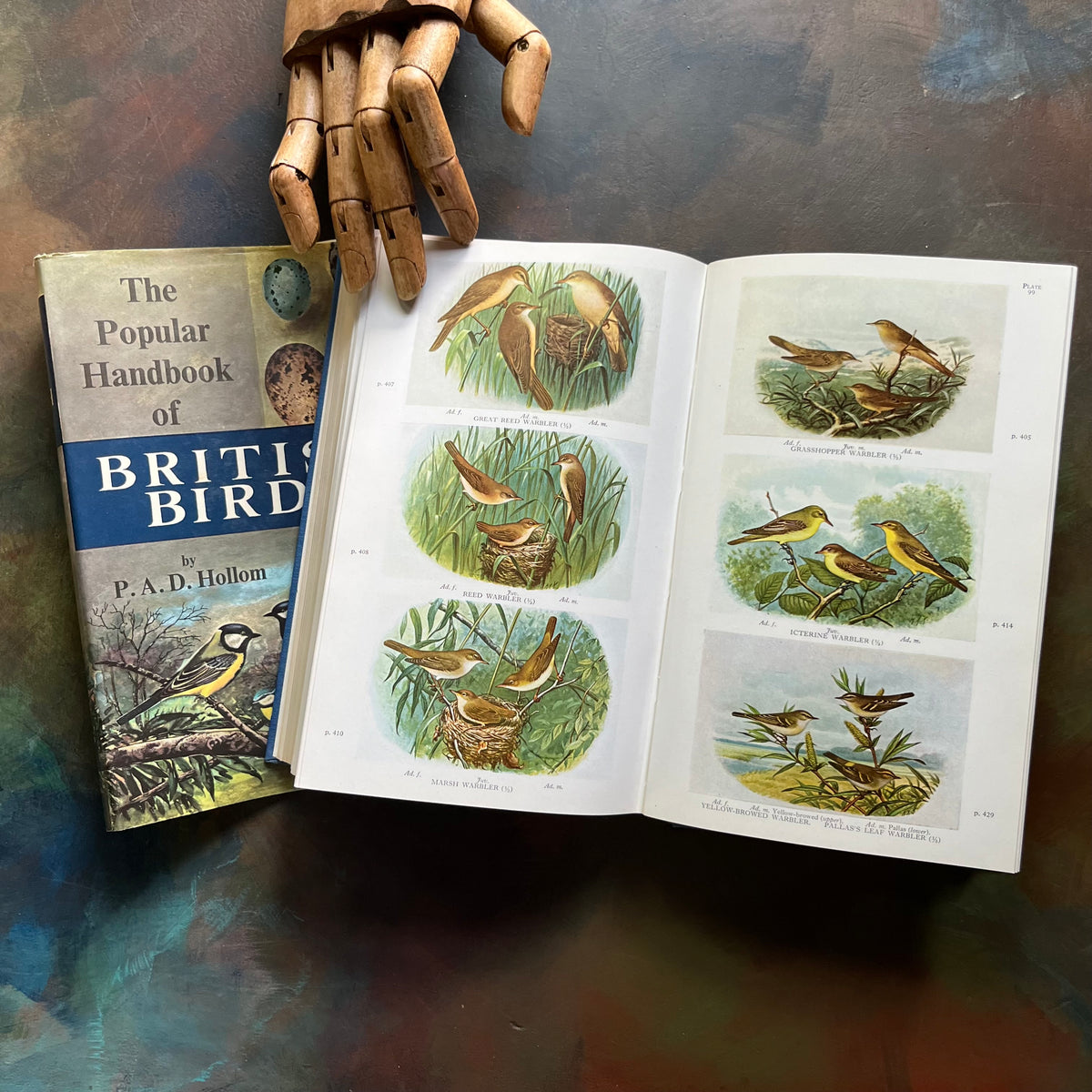 The Popular Handbook of British Birds Written by P. A. D. Hollom - Log ...