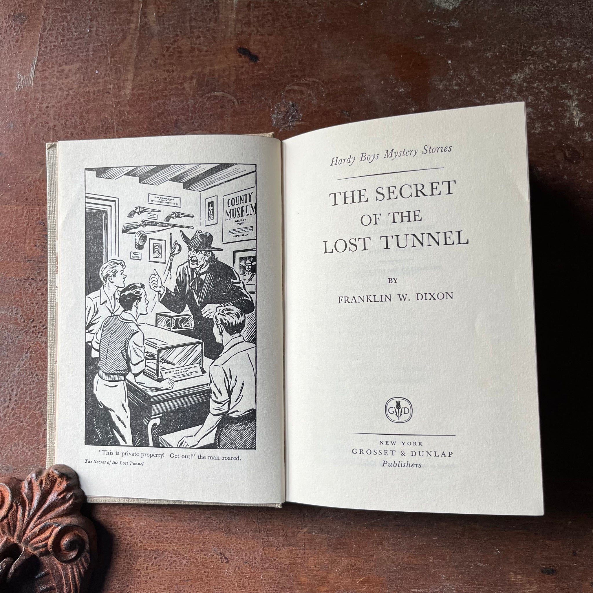 The Hardy Boys Mysteries: #29 The Secret of the Lost Tunnel by Frankli ...