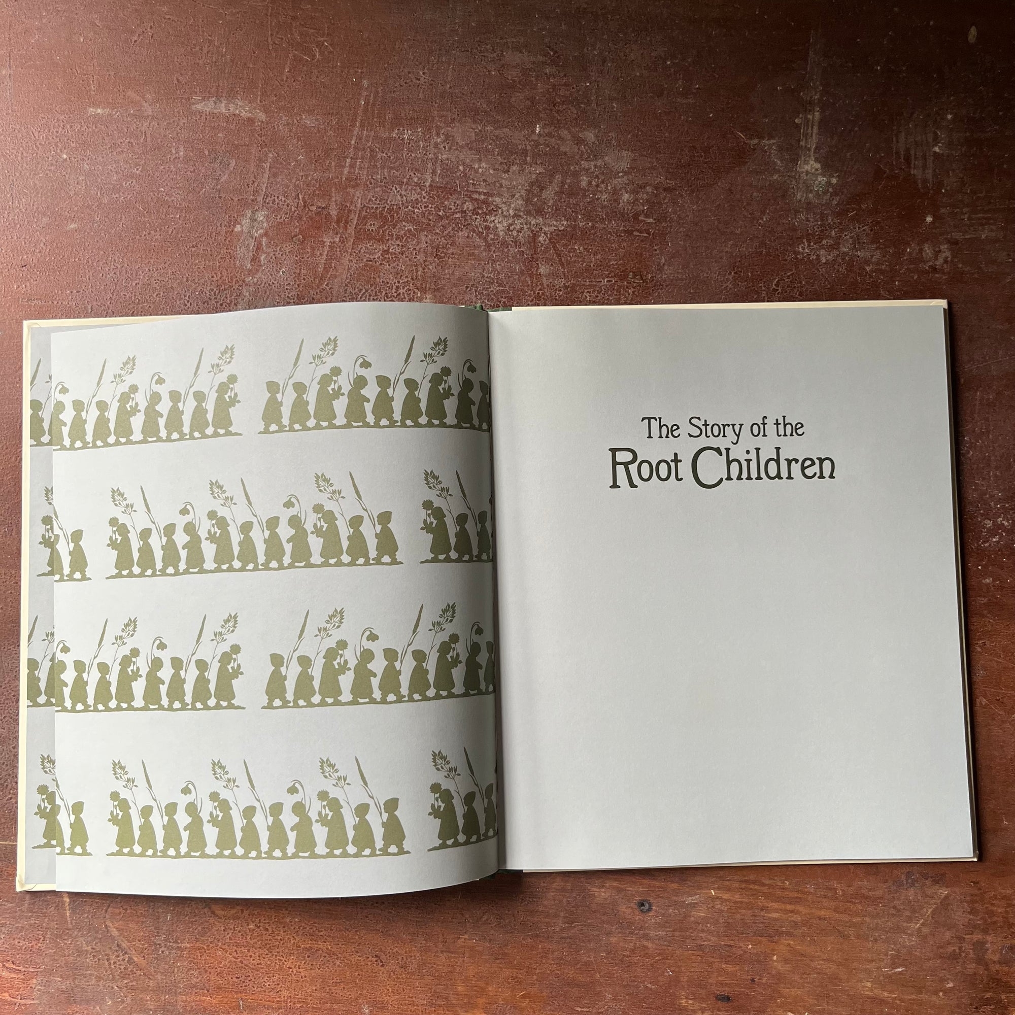 The Story of the Root Children written & illustrated by Sibylle von Ol ...