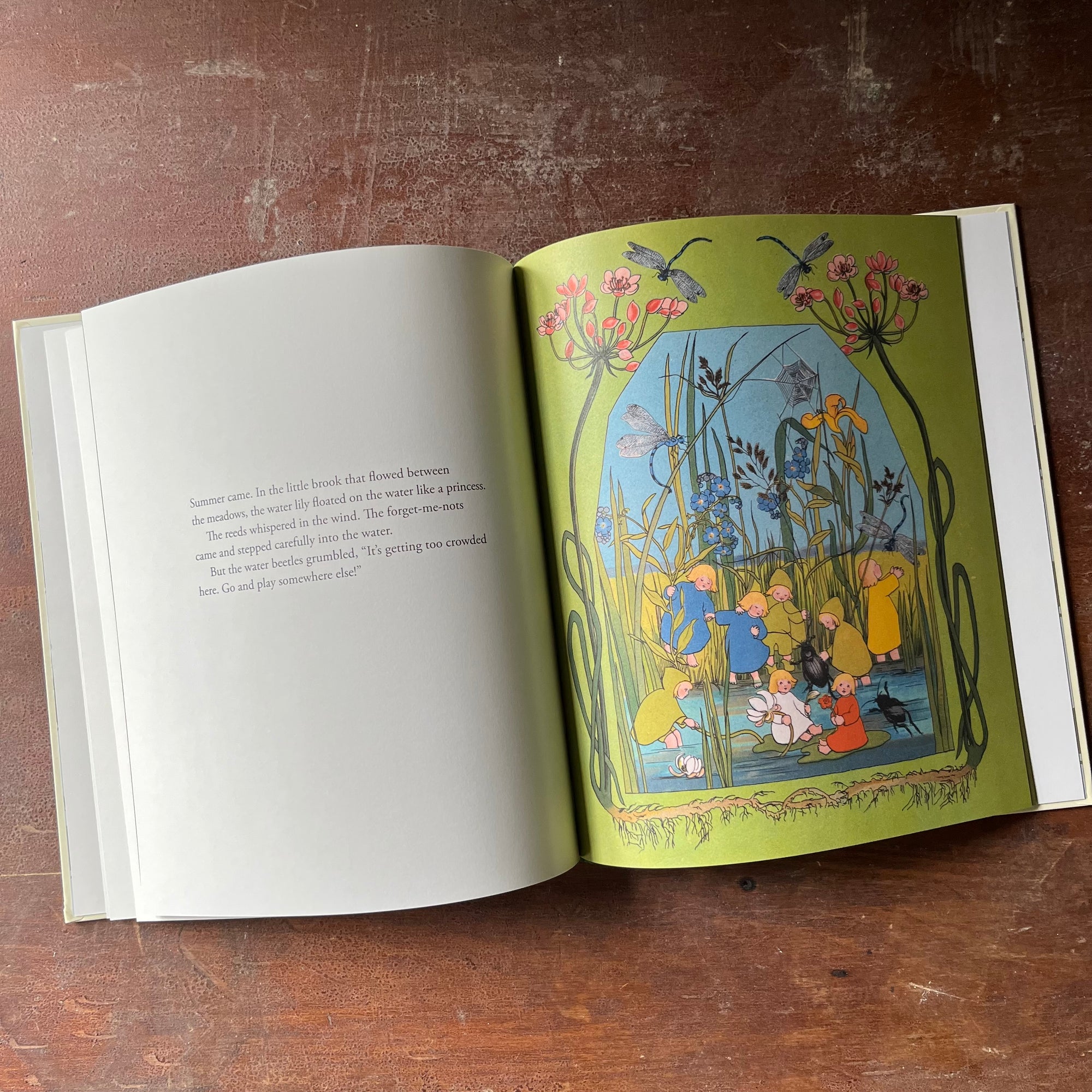 The Story of the Root Children written & illustrated by Sibylle von Ol ...
