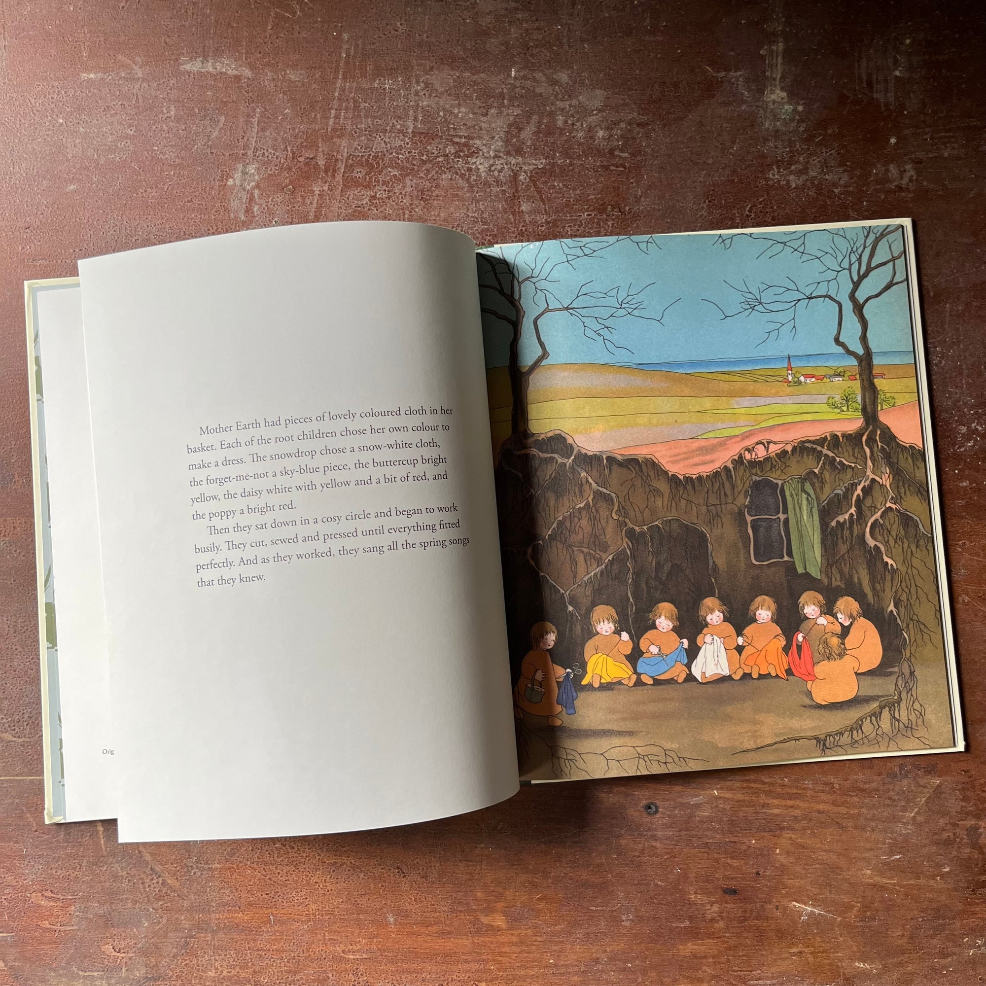 The Story of the Root Children written & illustrated by Sibylle von Ol ...