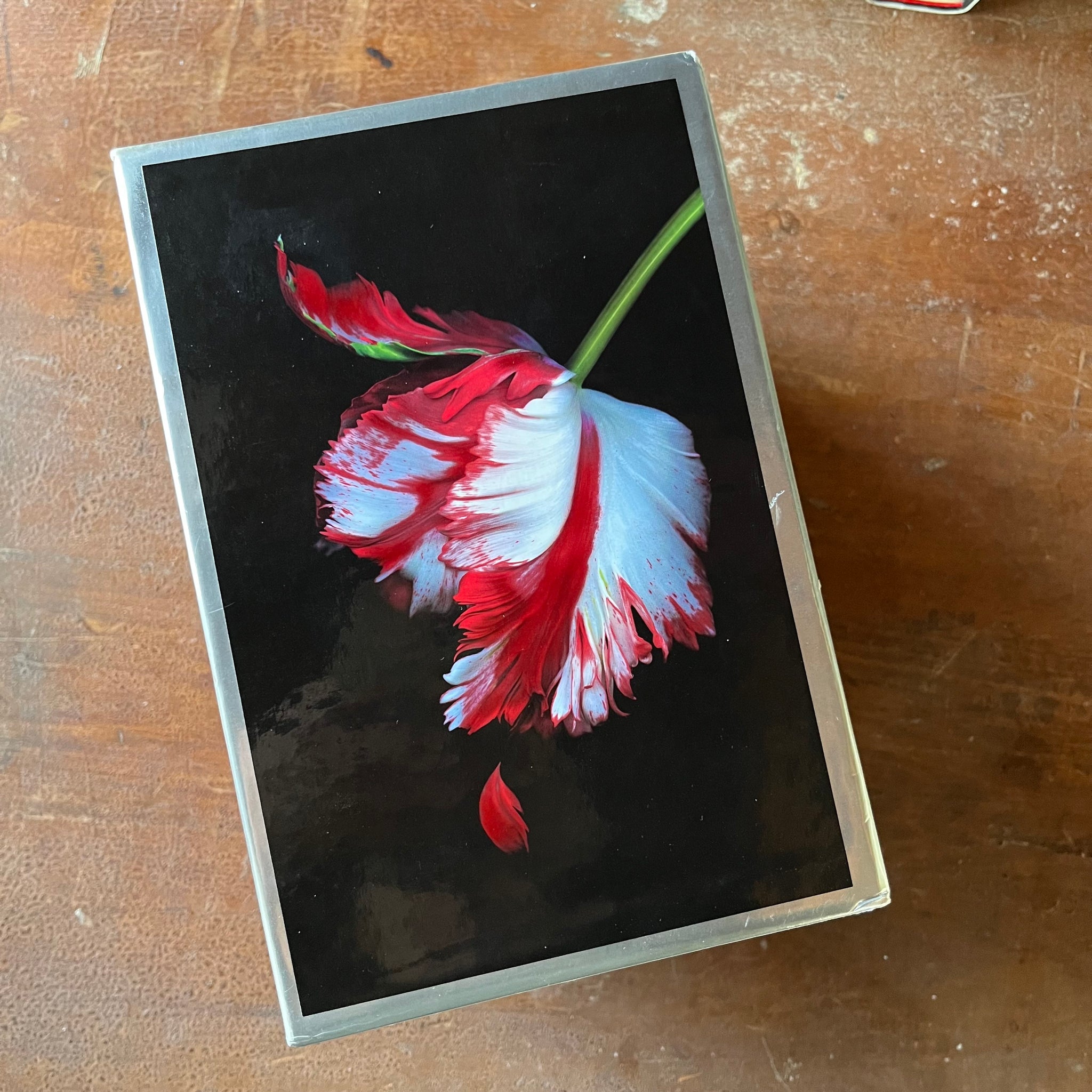 The Twilight Box Set by Stephenie Meyer - Log Cabin Vintage