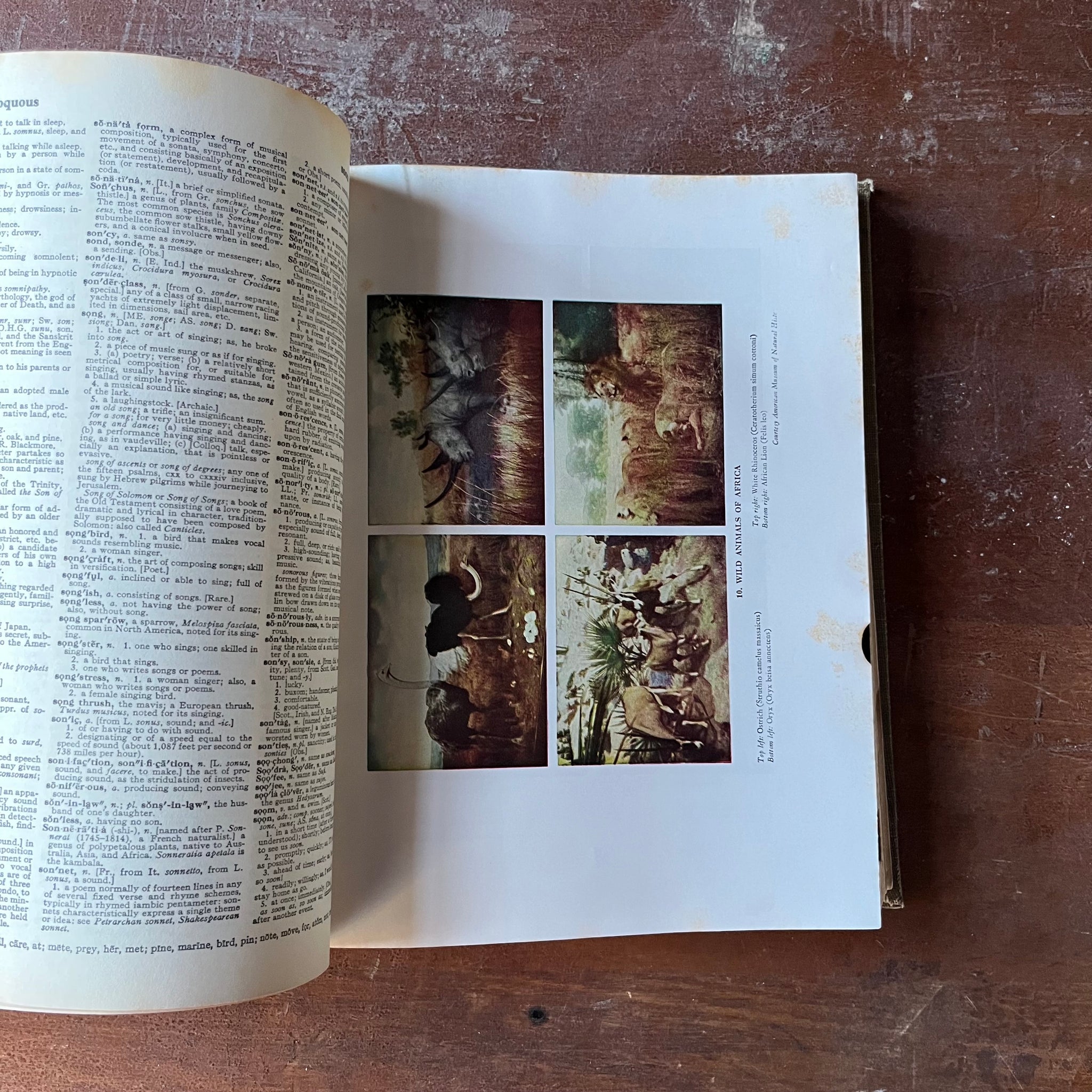 Webster's New Twentieth Century Dictionary - 1968 Unabridged Edition ...