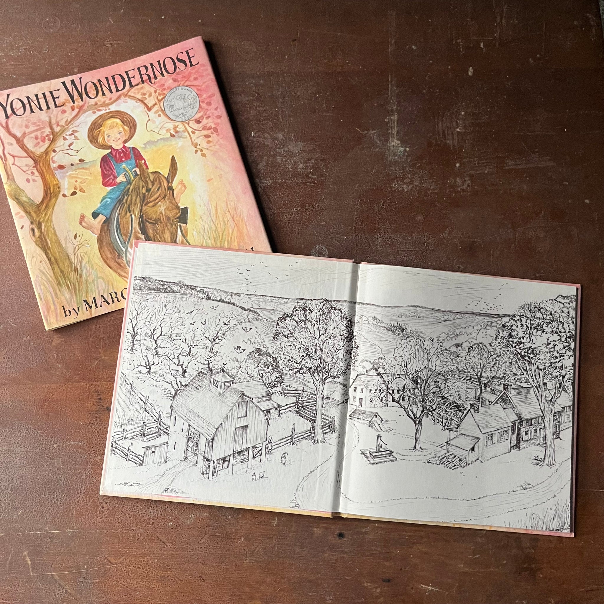 Yonie Wondernose by Marguerite de Angeli - A Caldecott Honor Book - Log ...