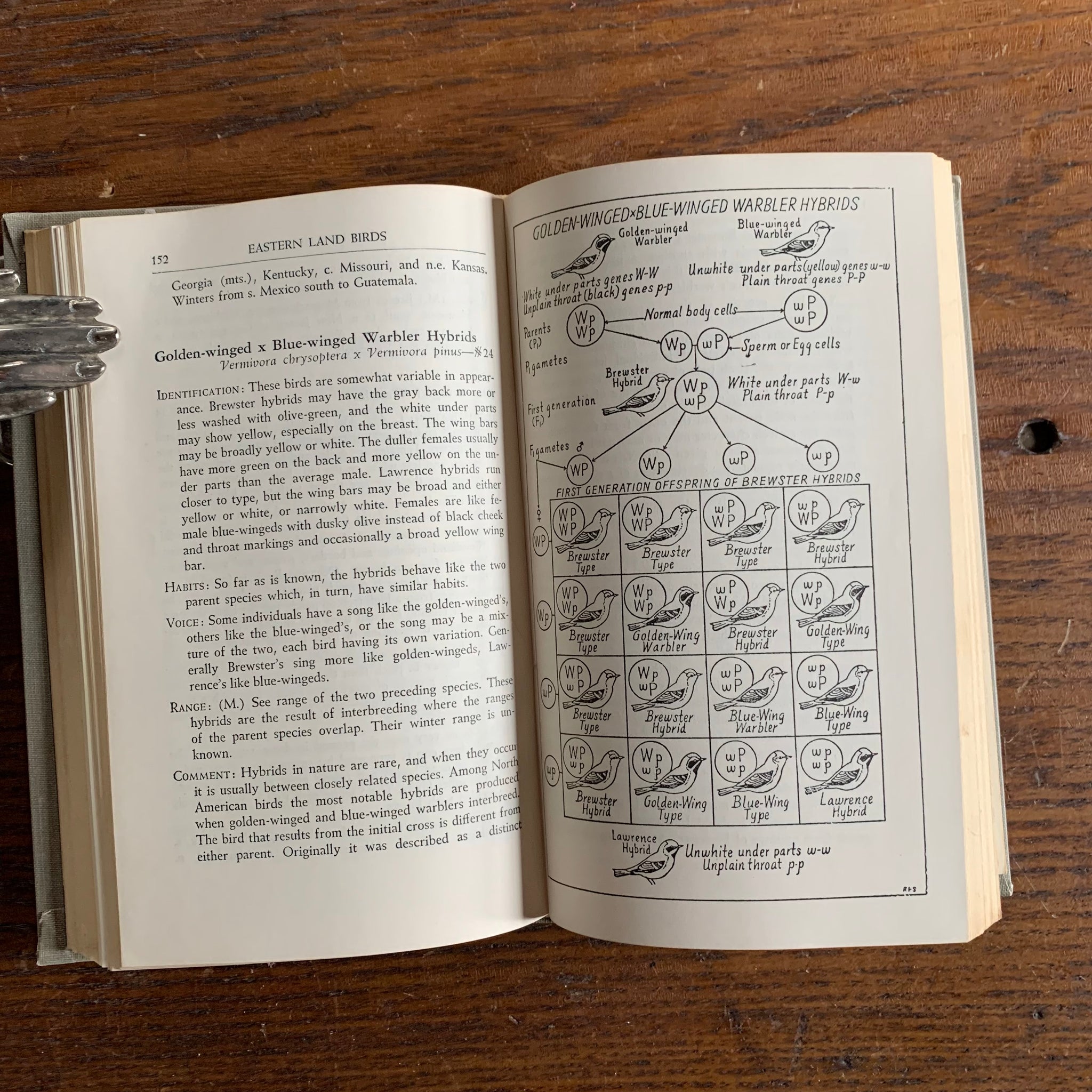 Audubon Land Bird Guide - 1949 Edition - Log Cabin Vintage