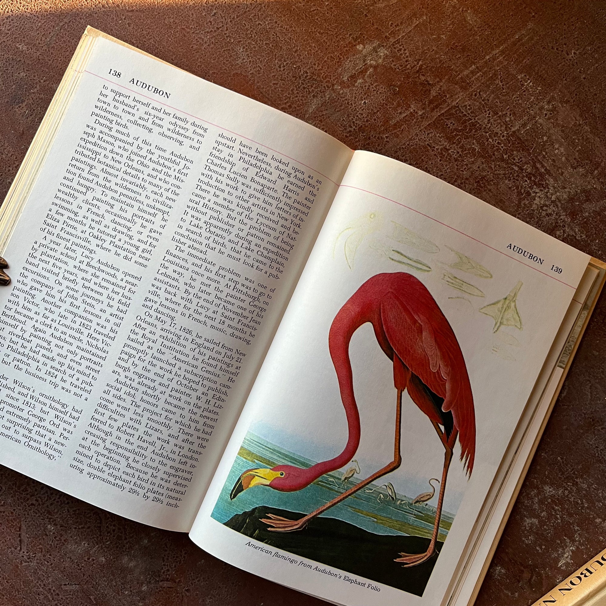 Audubon Nature Encyclopedia Complete 12 Volume Set - 1965 Edition - Log ...