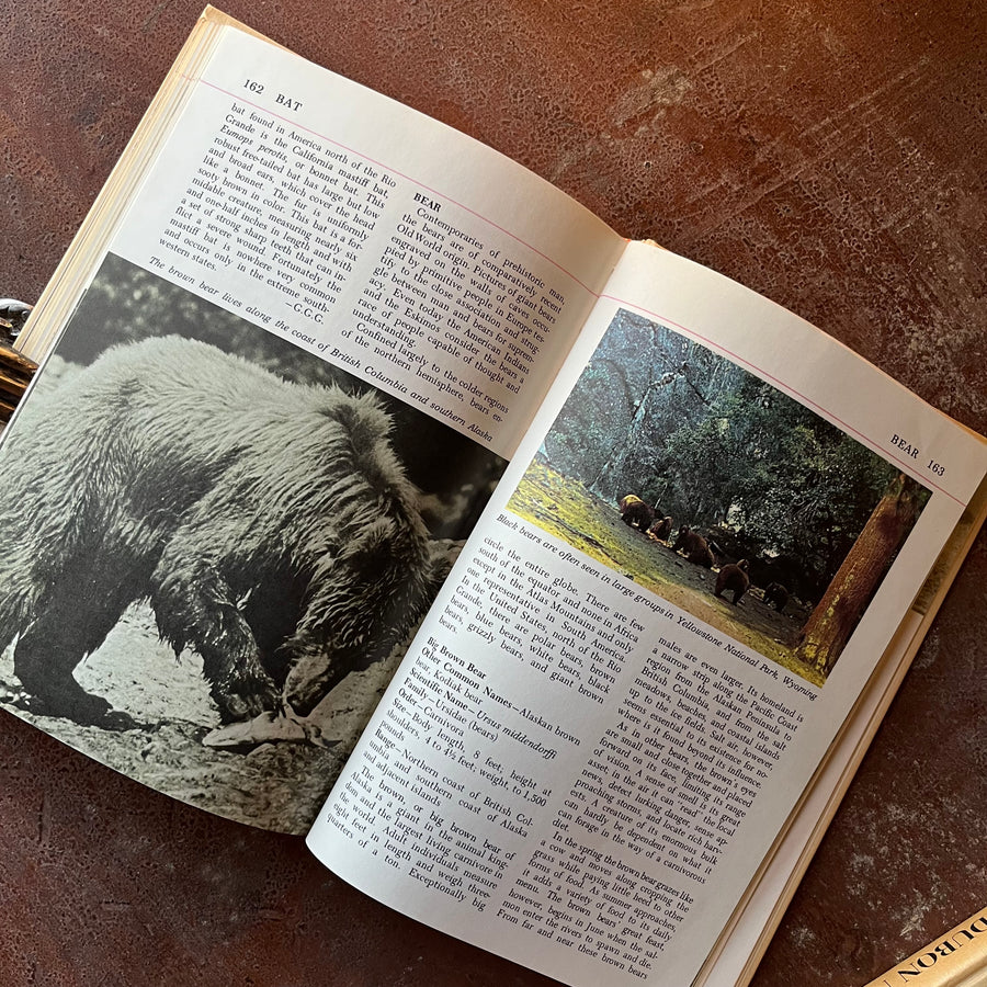 Audubon Nature Encyclopedia Complete 12 Volume Set - 1965 Edition - Log ...