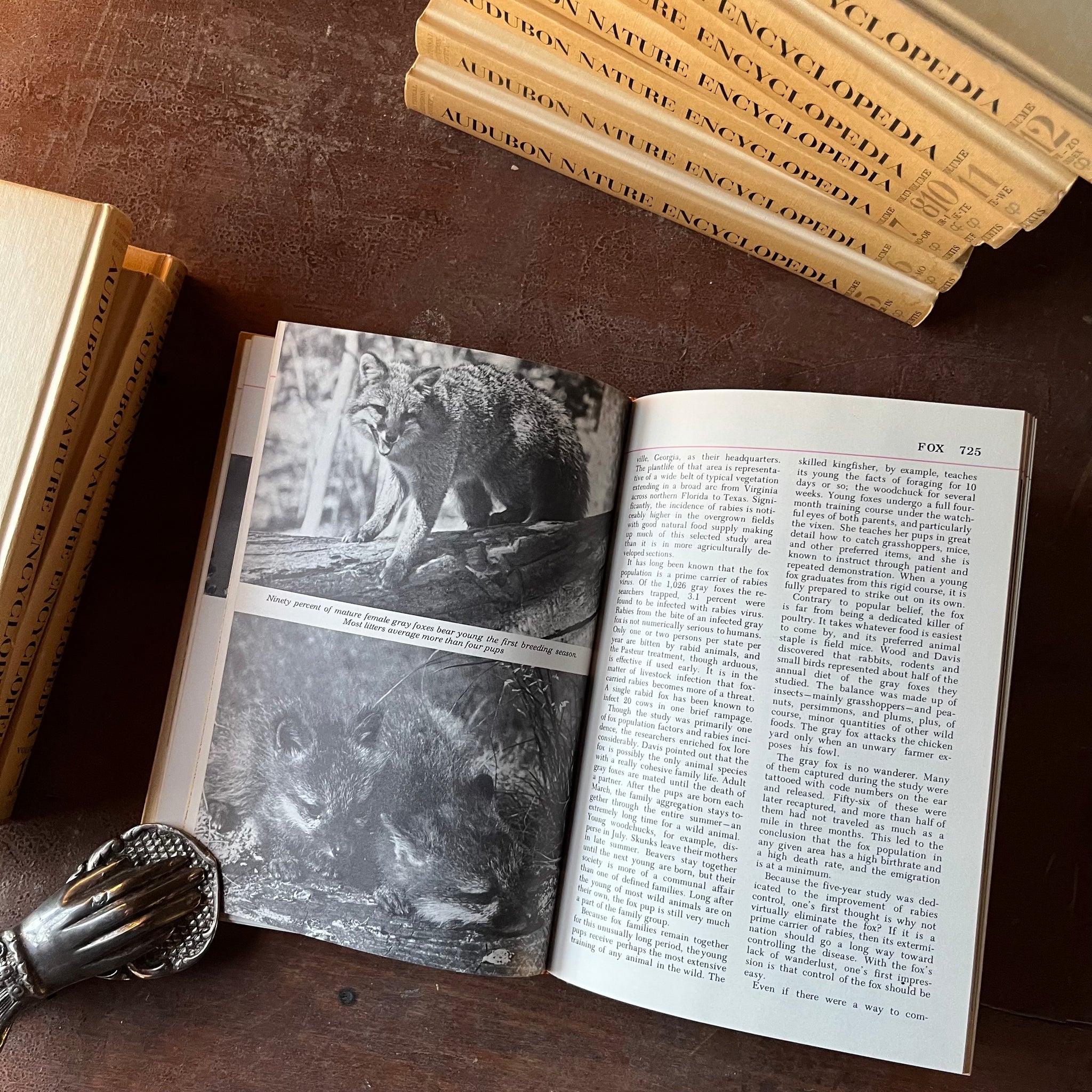 Audubon Nature Encyclopedia Complete 12 Volume Set - 1965 Edition - Log ...
