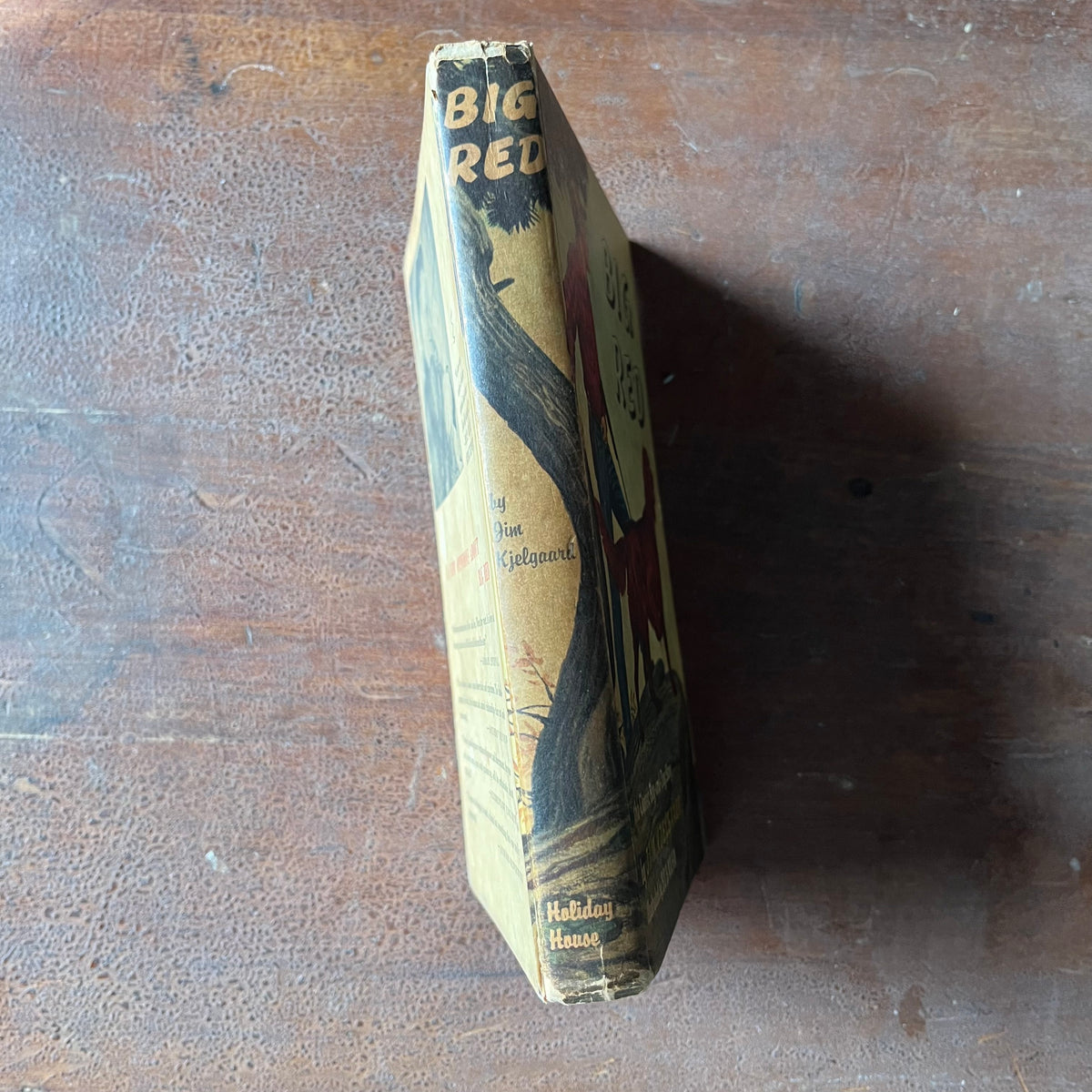 Big Red by Jim Kjelgaard - 1945 Edition - Log Cabin Vintage