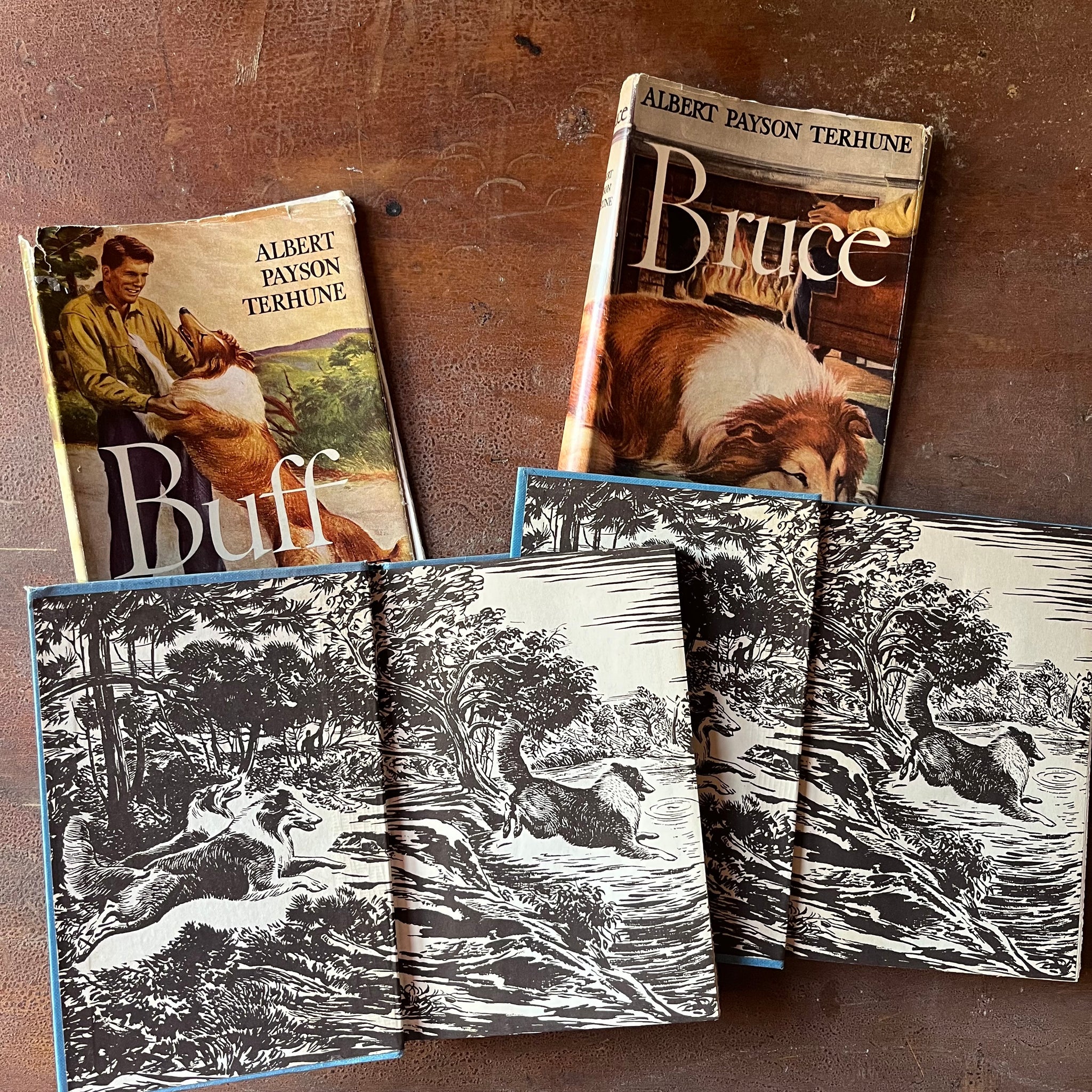 Pair of Dog Books by Albert Payson Terhune: Buff a Collie and Bruce ...