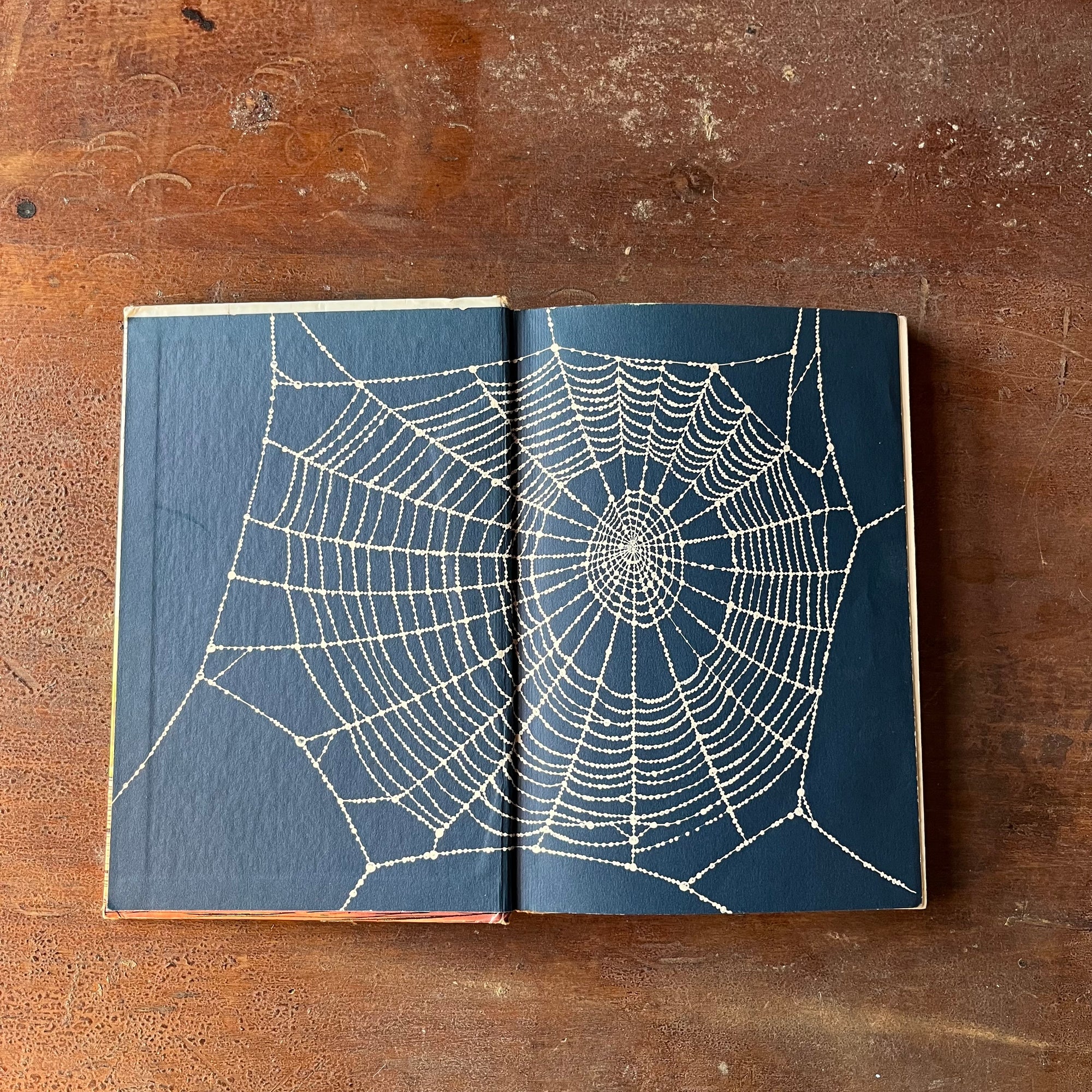 Charlotte's Web by E. B. White with Illustrations by Garth Williams ...