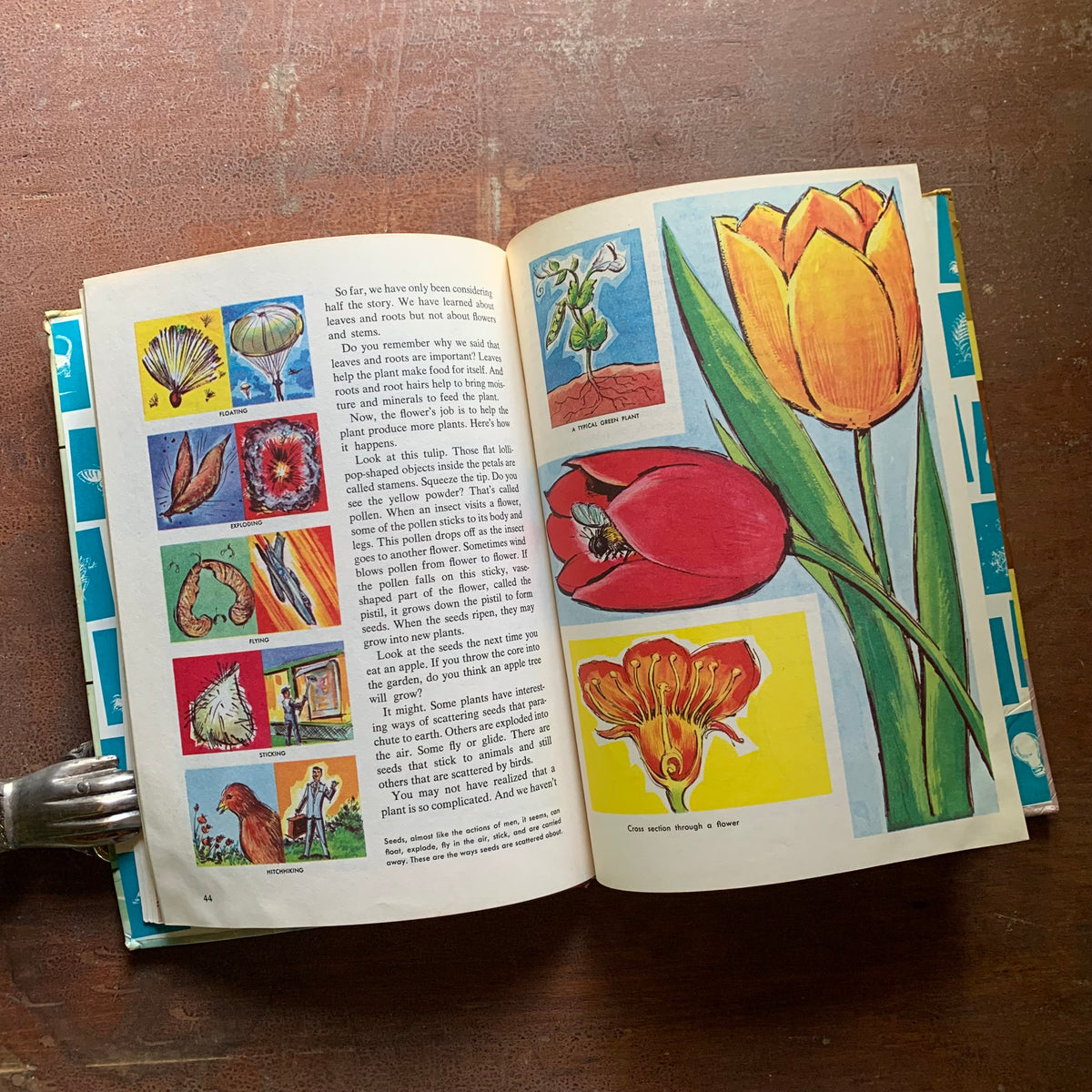 How and Why Wonder Book of Beginning Science - 1960 Deluxe Edition ...