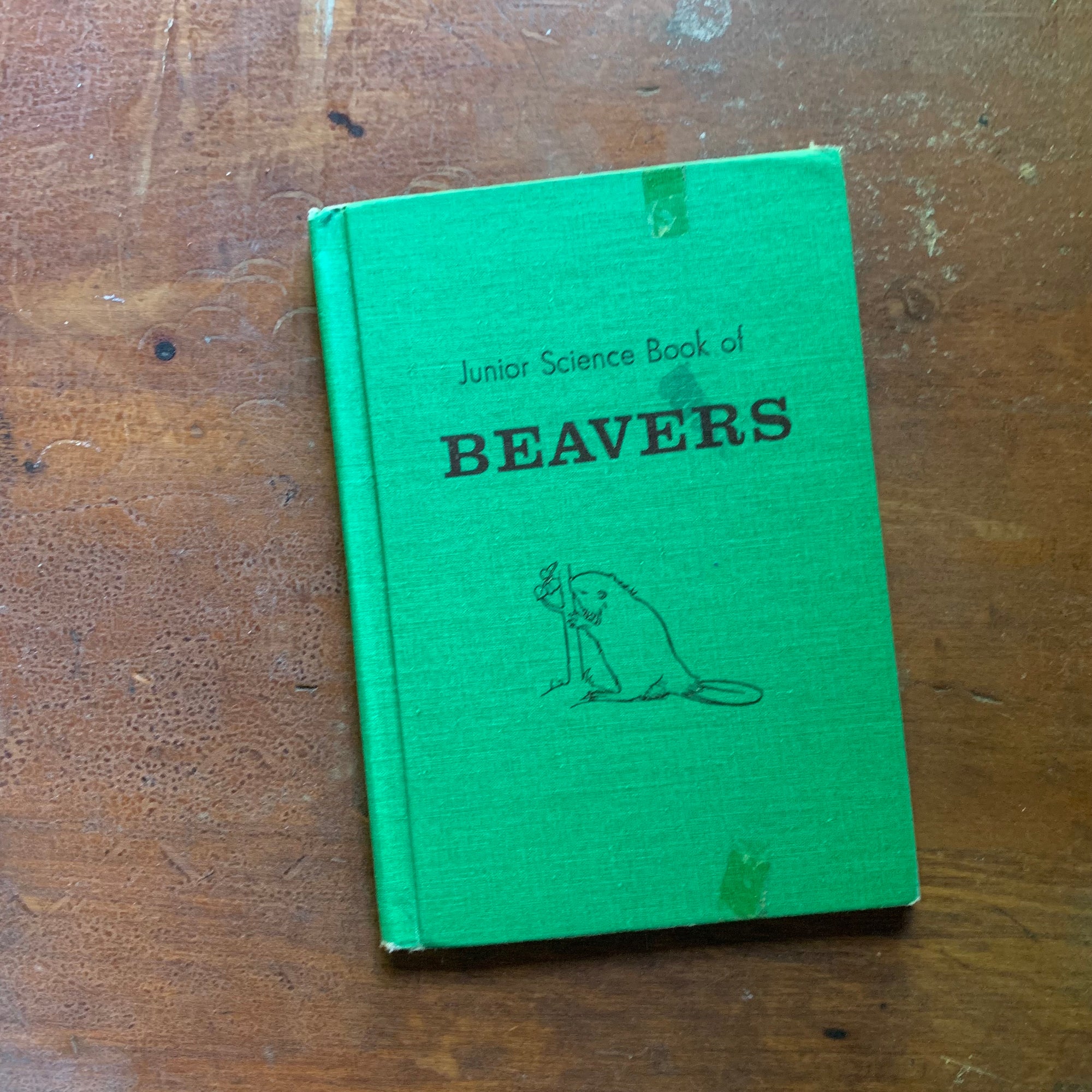 Junior Science Book of Beavers - Log Cabin Vintage