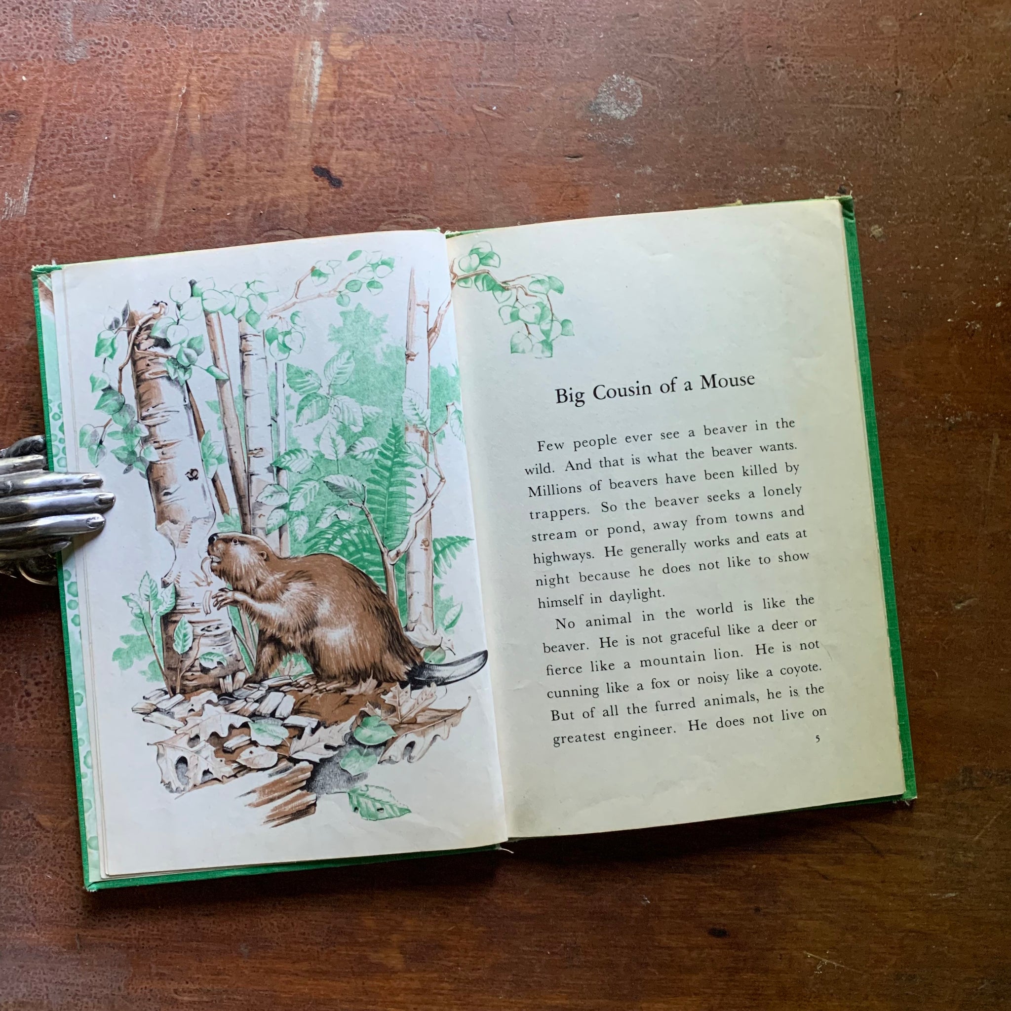 Junior Science Book of Beavers - Log Cabin Vintage