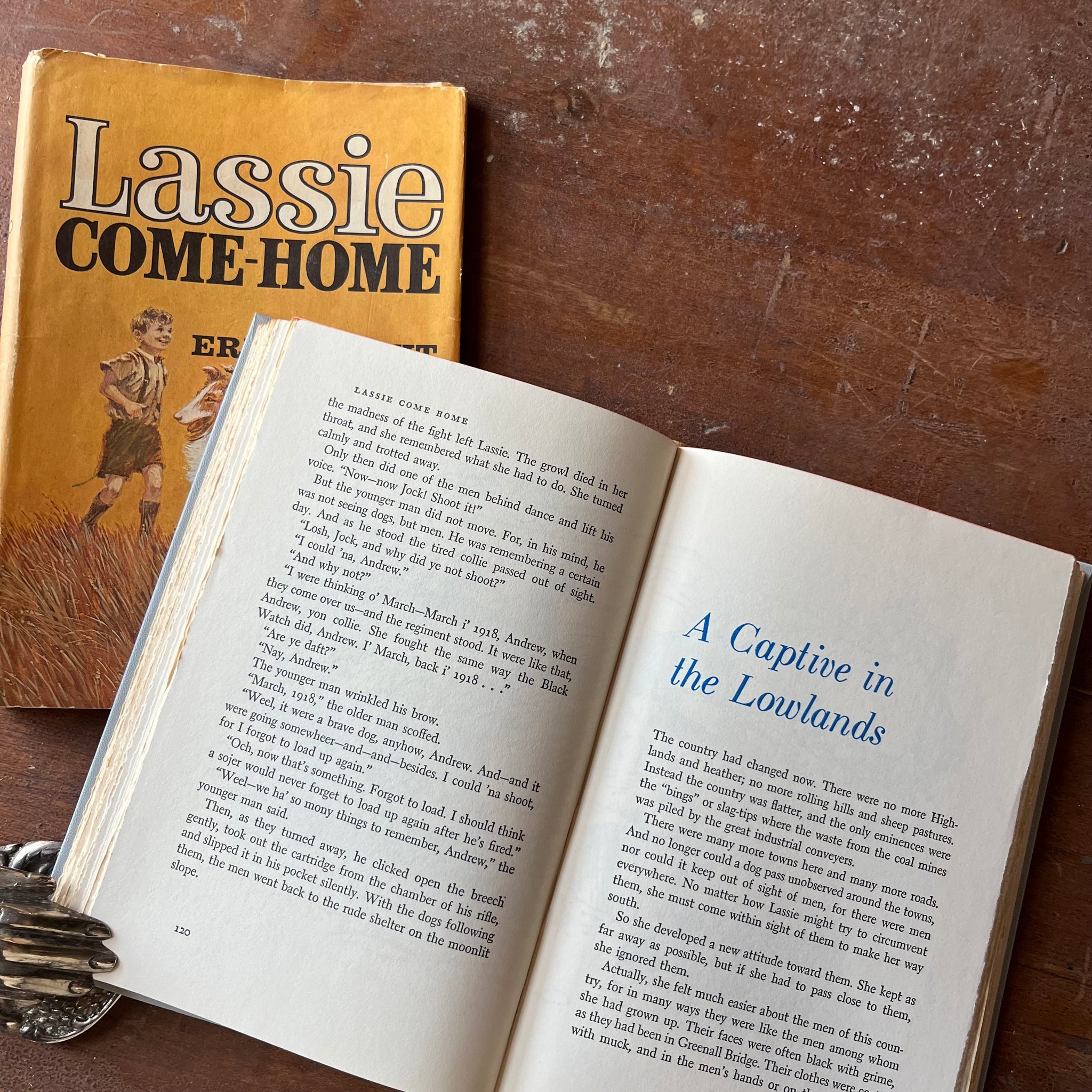 Lassie Come Home - a 1964 Junior Deluxe Editions Hardcover Book - Log ...